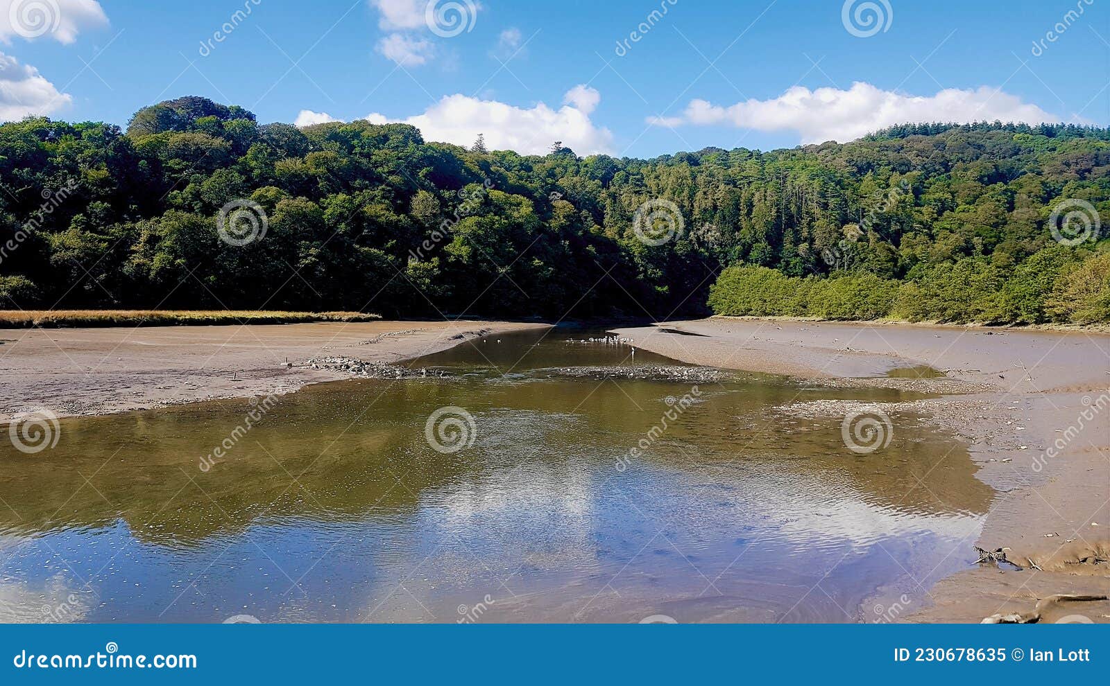 River Tavy ,Lopwell, Devon ,Uk Stock Image - Image of walker, tavy ...