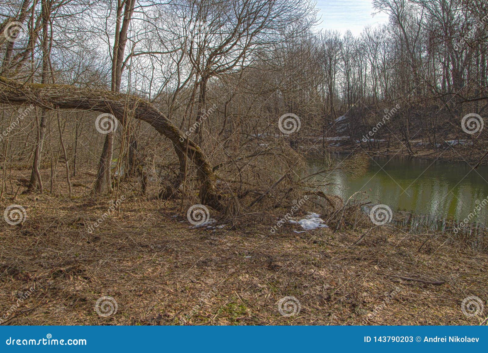 The River Techa in the Spring. Kaluga Region Stock Image - Image of ...