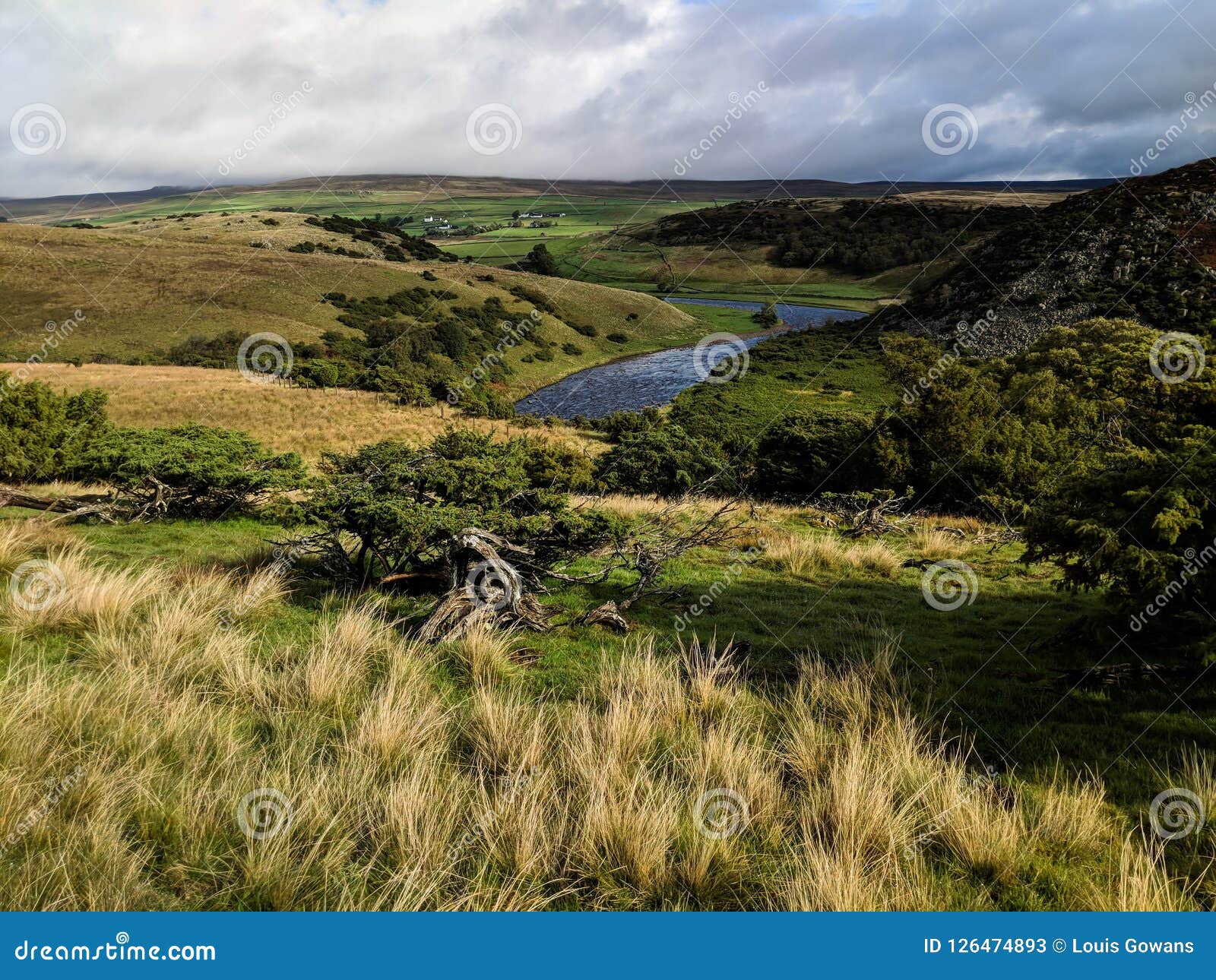 River Tees Meander stock image. Image of tees, meander - 126474893