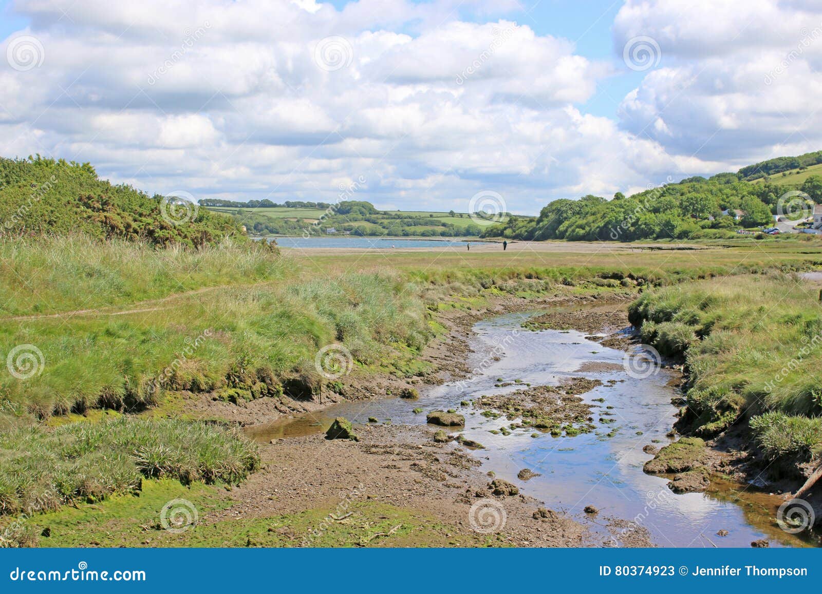 River Teifi, Wales stock image. Image of coastal, river - 80374923