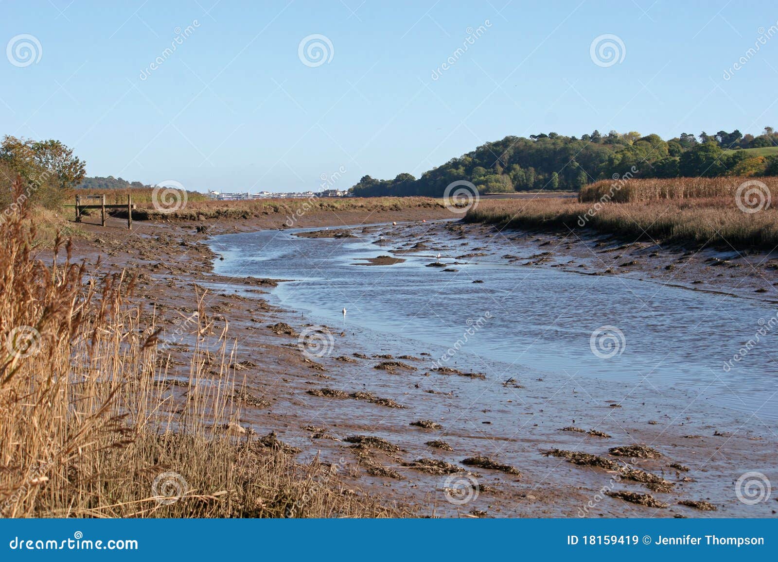 River Teign stock image. Image of teign, devon, tranquil - 18159419