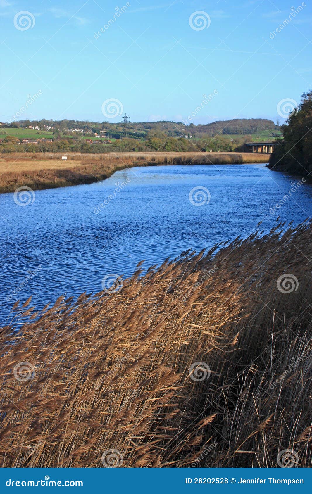 River Teign stock photo. Image of reeds, autumn, blue - 28202528