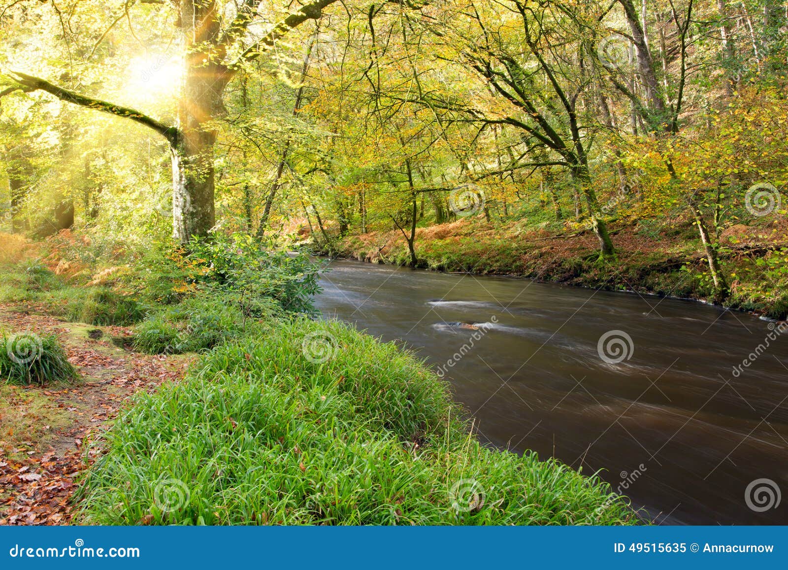 River Teign stock image. Image of grass, rock, teign - 49515635