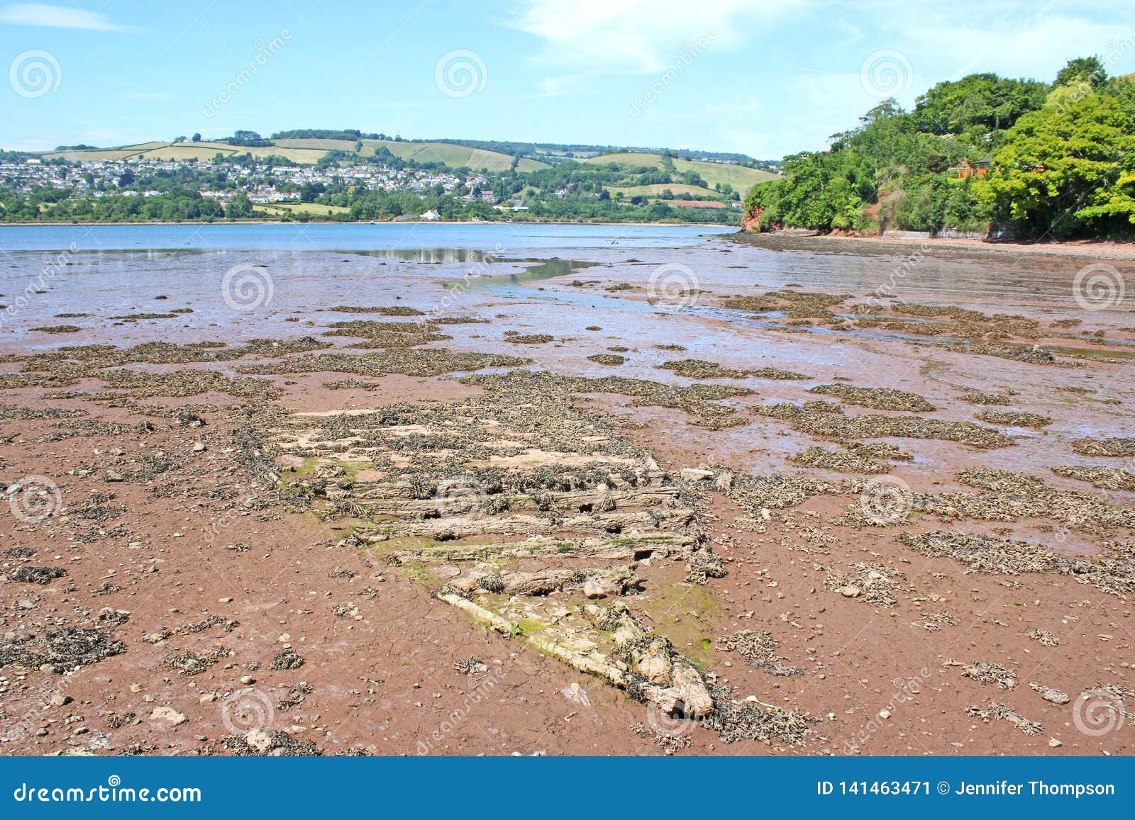 River Teign, Devon at Low Tide Stock Image - Image of tidal, beach ...