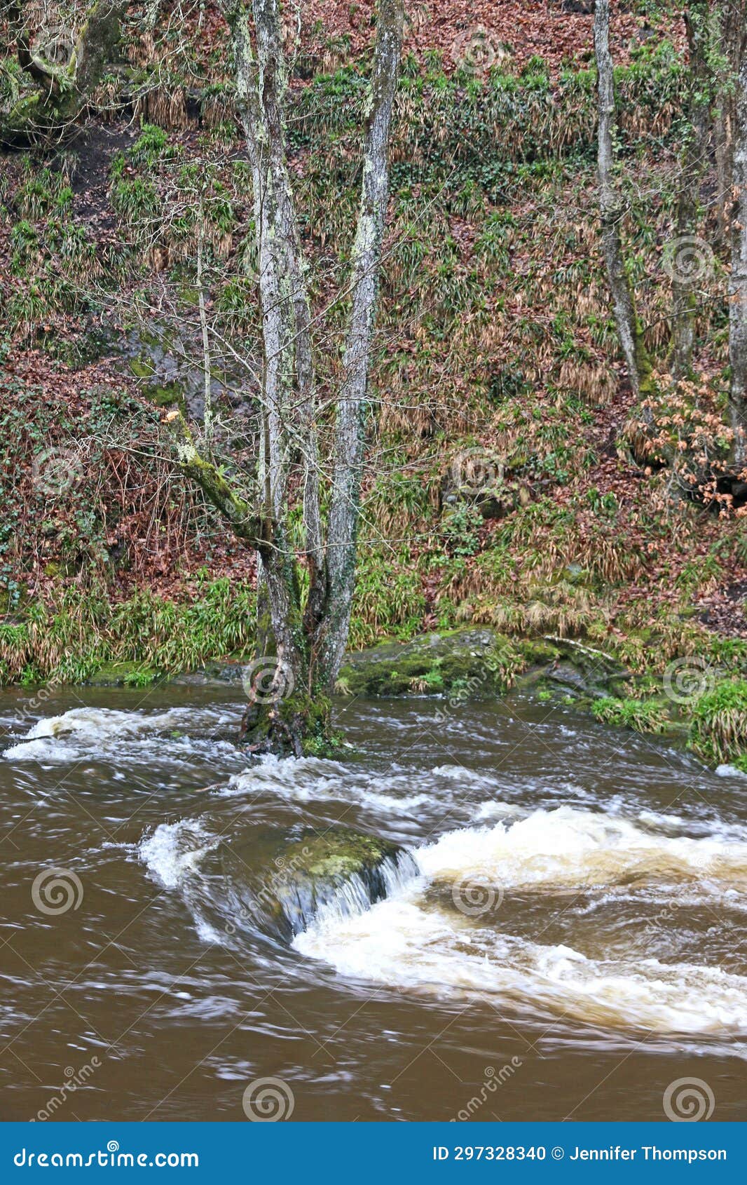 River Teign at Fingle Bridge, Devon Stock Photo - Image of rocks ...