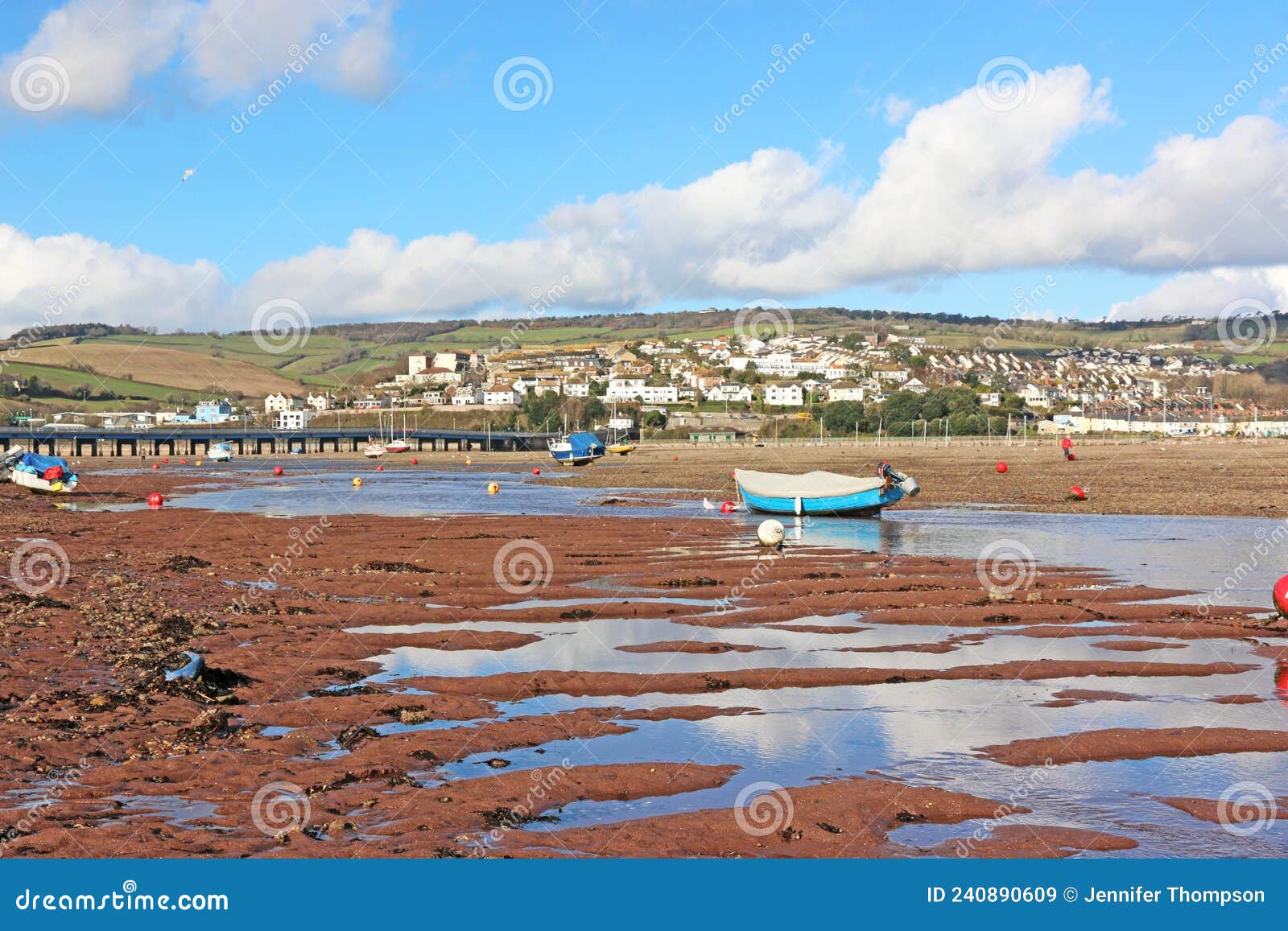 River Teign at low tide stock image. Image of river - 240890609