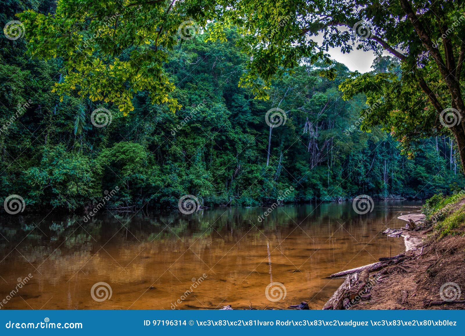 River Tembeling in Taman Negara, Malaysia. Stock Photo - Image of green ...