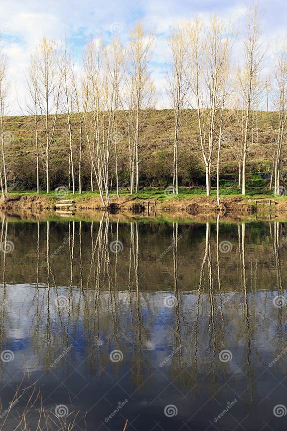 River Ter stock image. Image of catalan, clouds, trees - 30180169