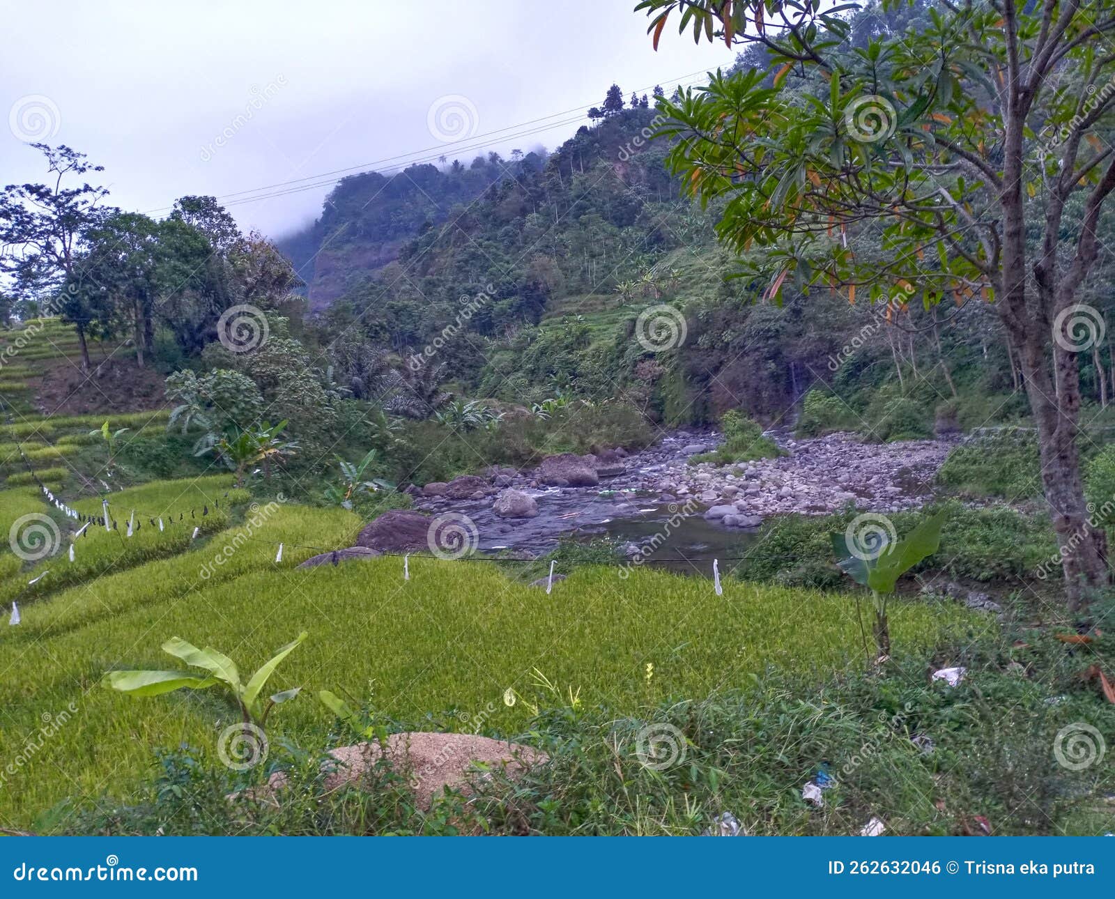 River and Terrasering at Naringgul Cianjur West Java Stock Photo ...