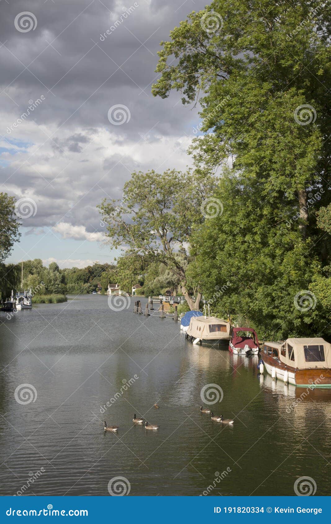River Thames, Goring, England Stock Photo - Image of water, streatley ...