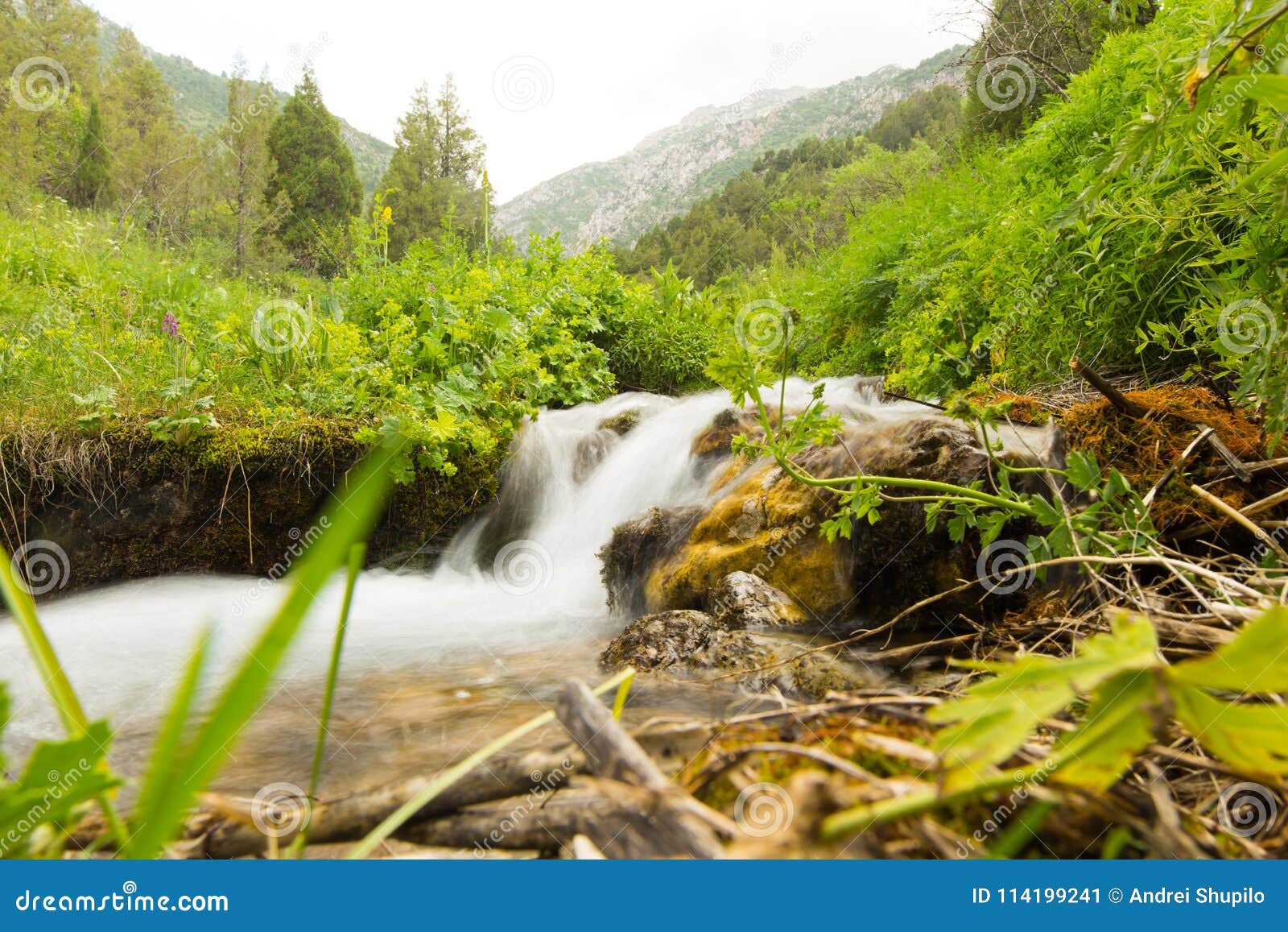 River in the Tian Shan Mountains in the Spring Stock Image - Image of ...