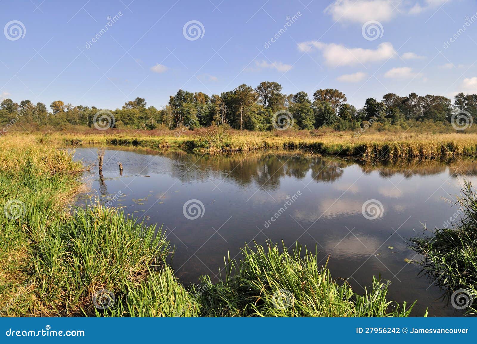 River to the lake stock photo. Image of reflection, tree - 27956242