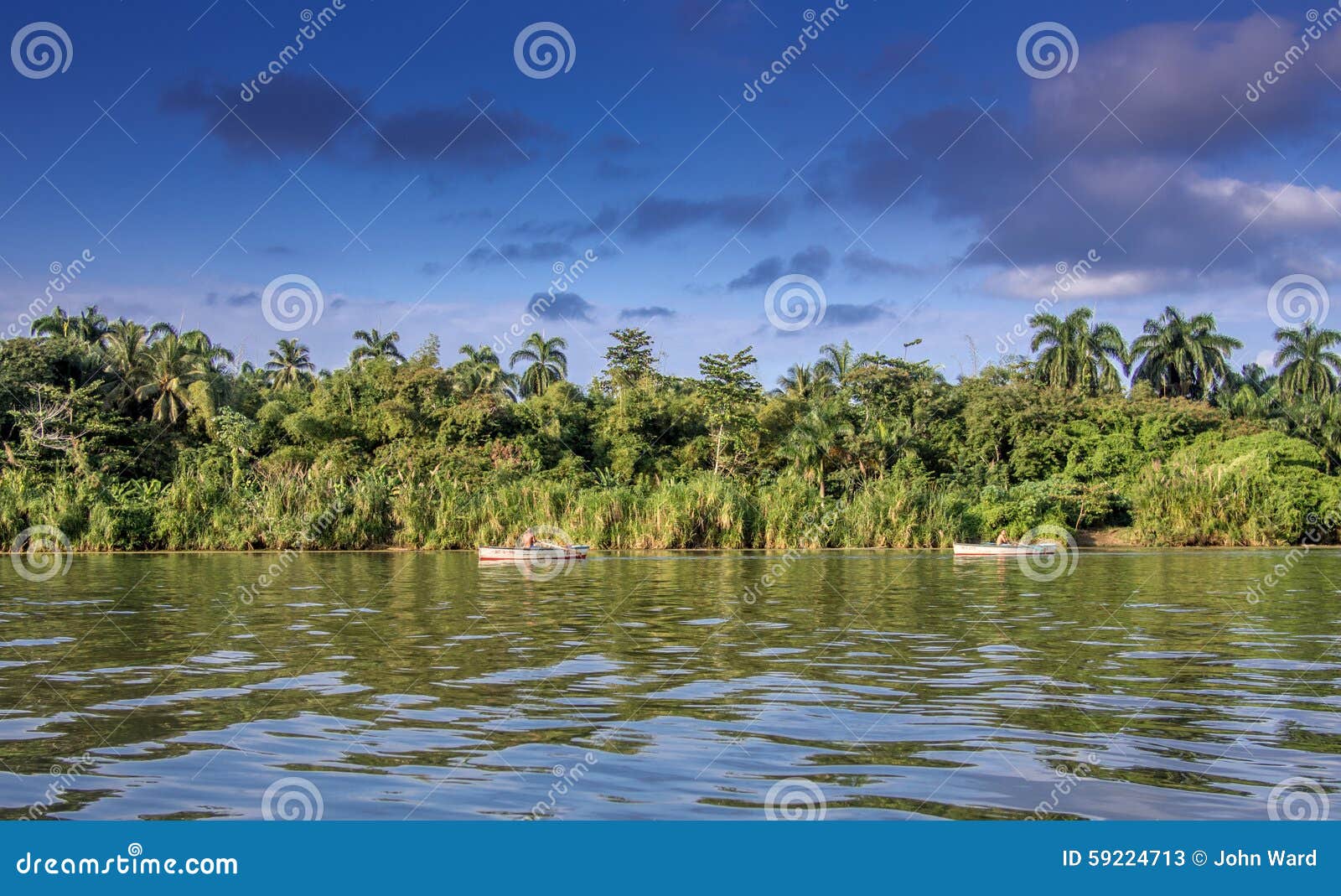 River Toa Near Baracoa Cuba Stock Image - Image of baracoa, trees: 59224713