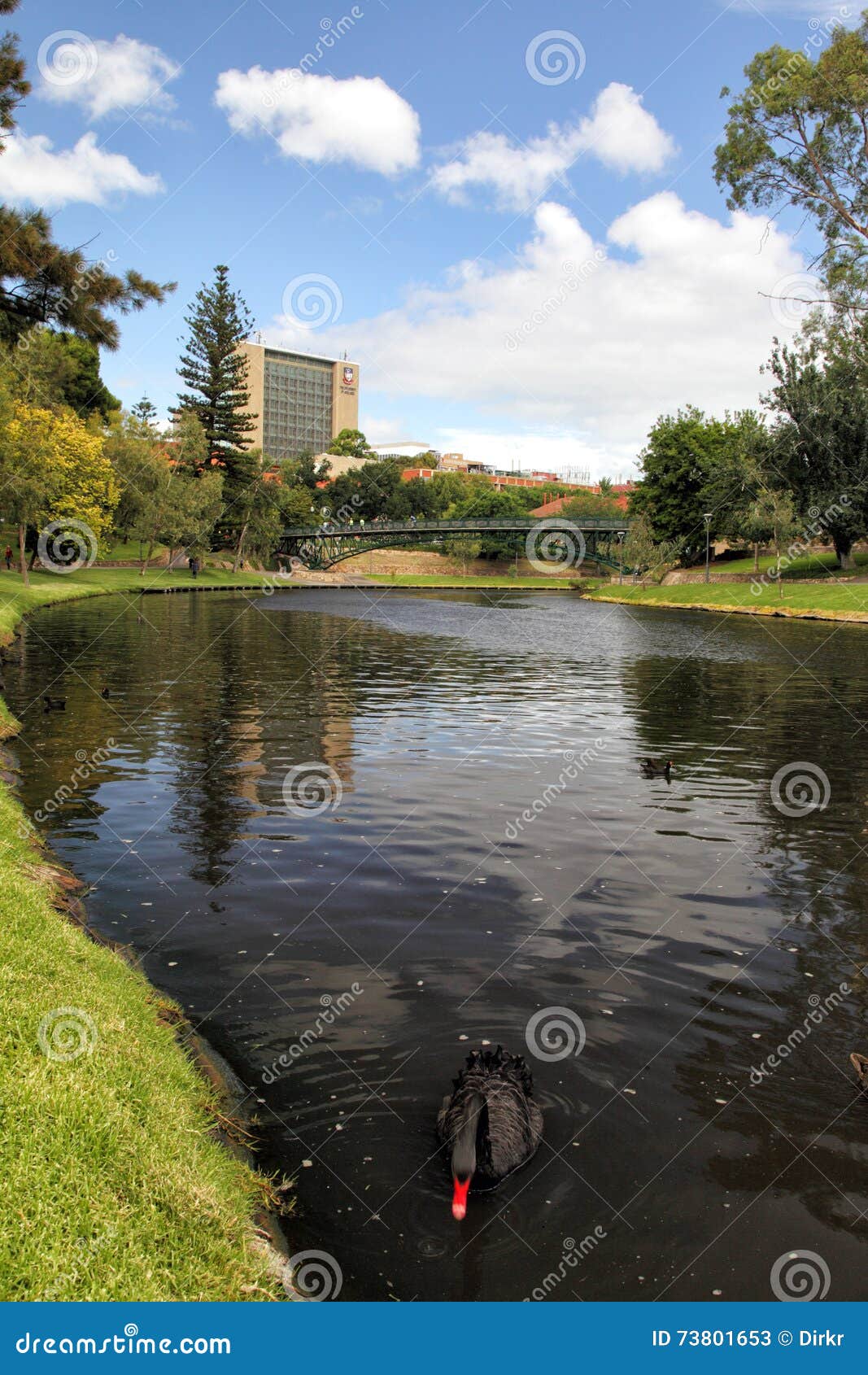 River Torrens editorial stock photo. Image of tourism - 73801653