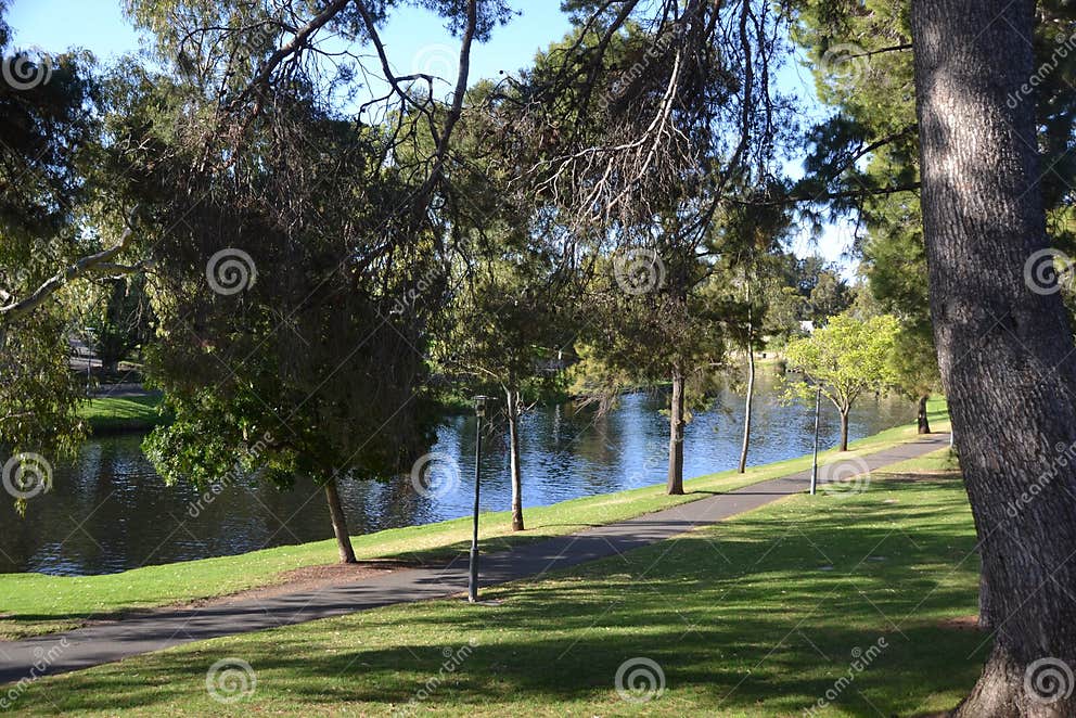 River Torrens Linear Park stock photo. Image of trail - 184158578