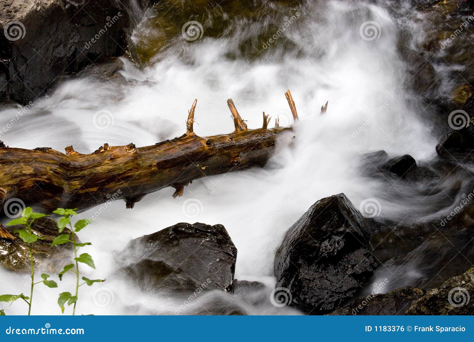 River Torrent stock photo. Image of waterfall, nature - 1183376
