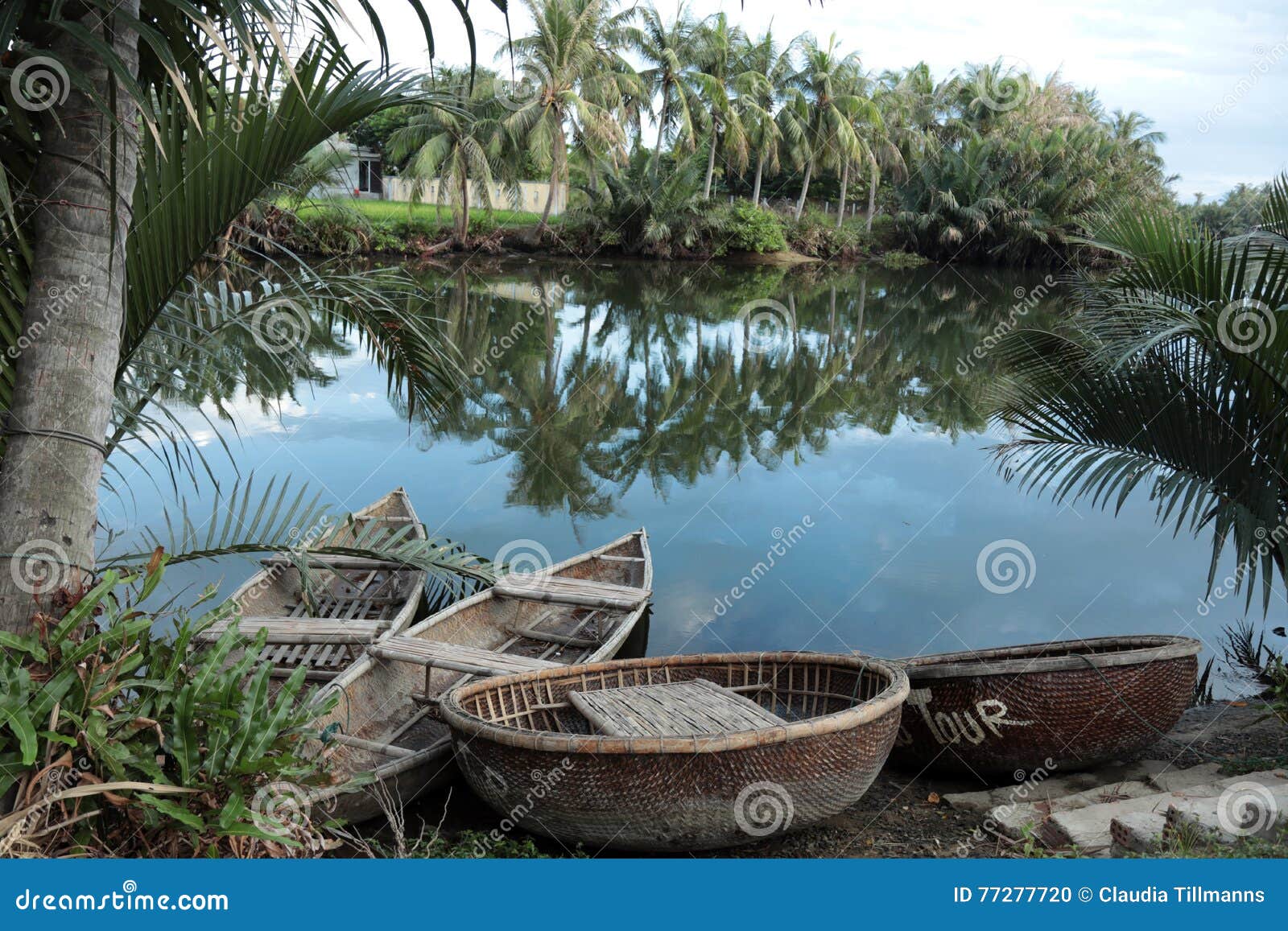 River with Traditional Bamboo Boats in Vietnam Stock Photo - Image of ...