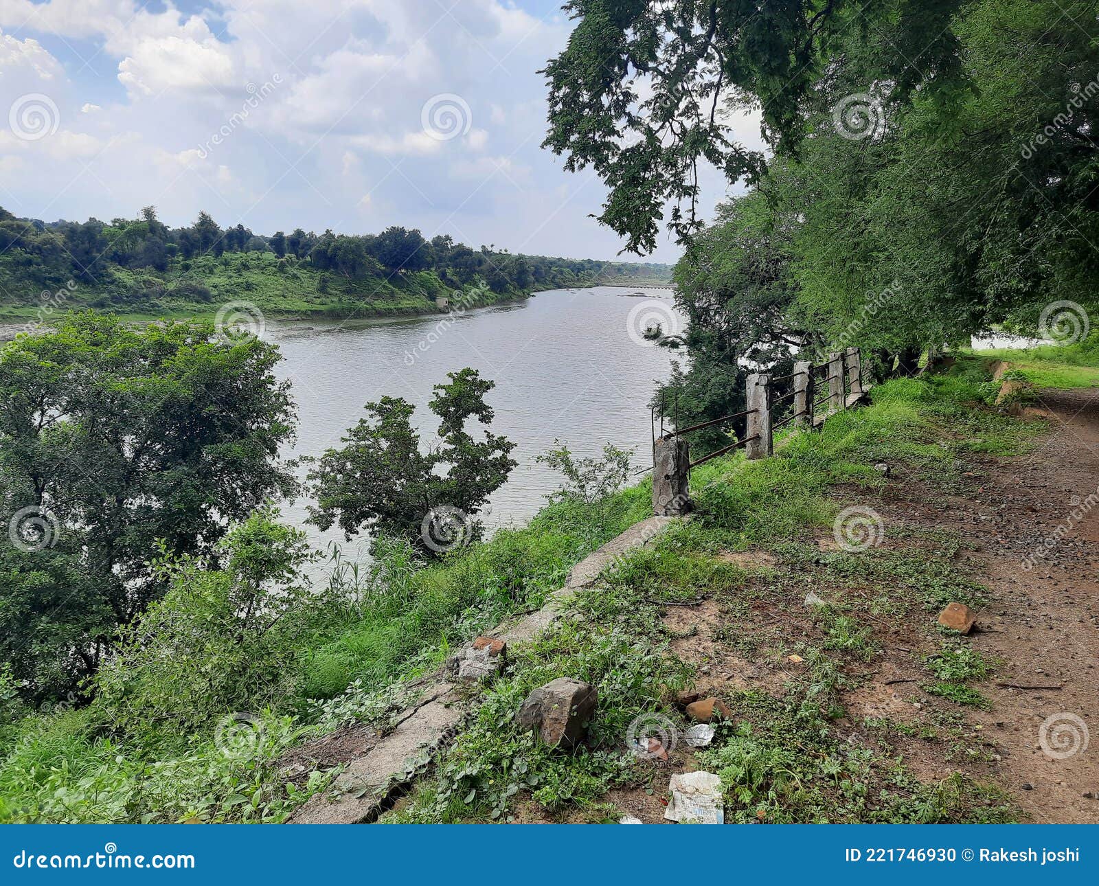 River, Tree and Nature Beauty in Forest Stock Photo - Image of forest ...