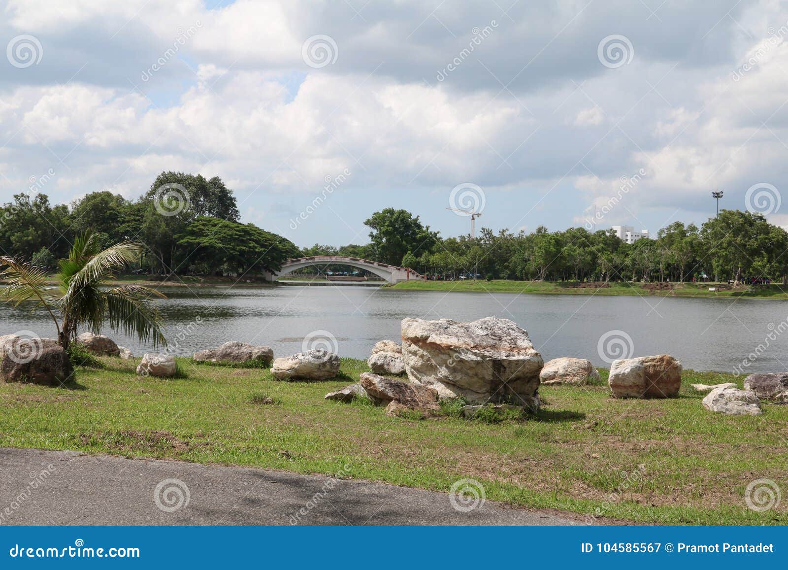 River Tree Sky Cloud and Water Reflect in Natural Environment Stock ...