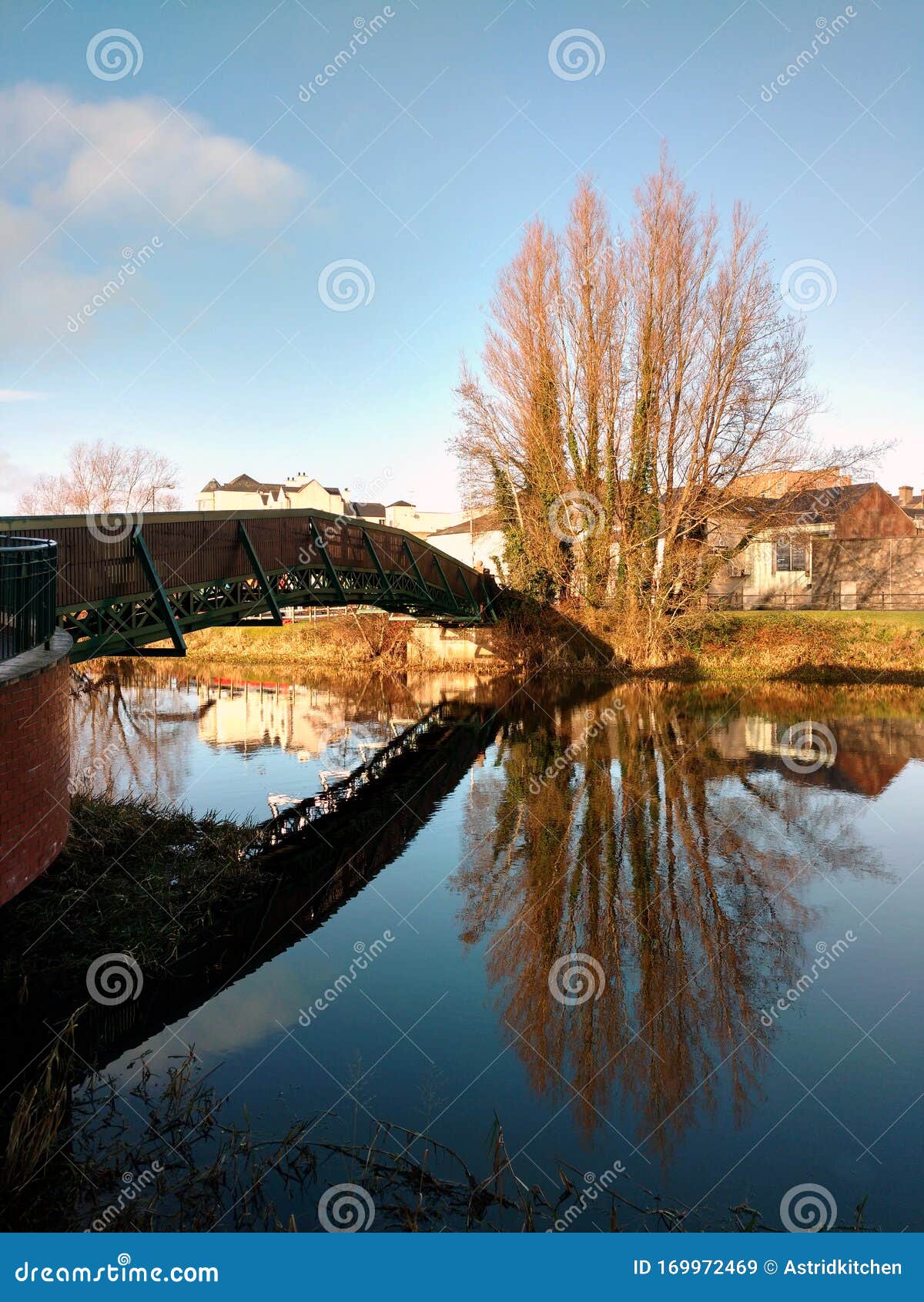 River and Tree in Spring and Blue Sky Stock Image - Image of ireland ...