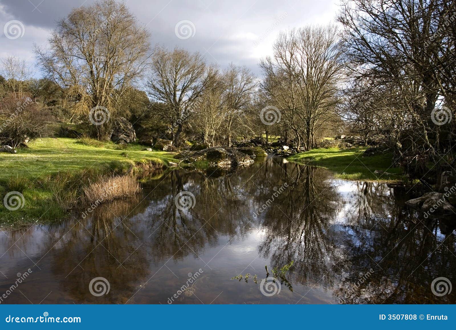 River trees stock photo. Image of nature, cloud, country - 3507808