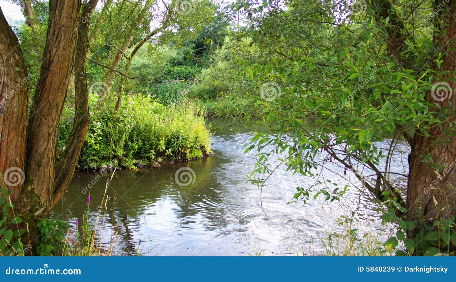 River and Trees stock image. Image of flowing, jungle - 5840239