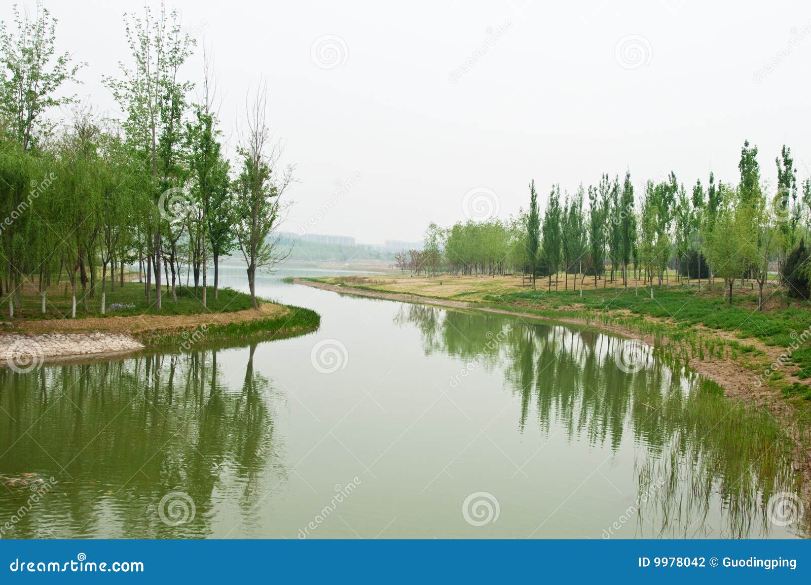 River with trees stock photo. Image of beautiful, willow - 9978042