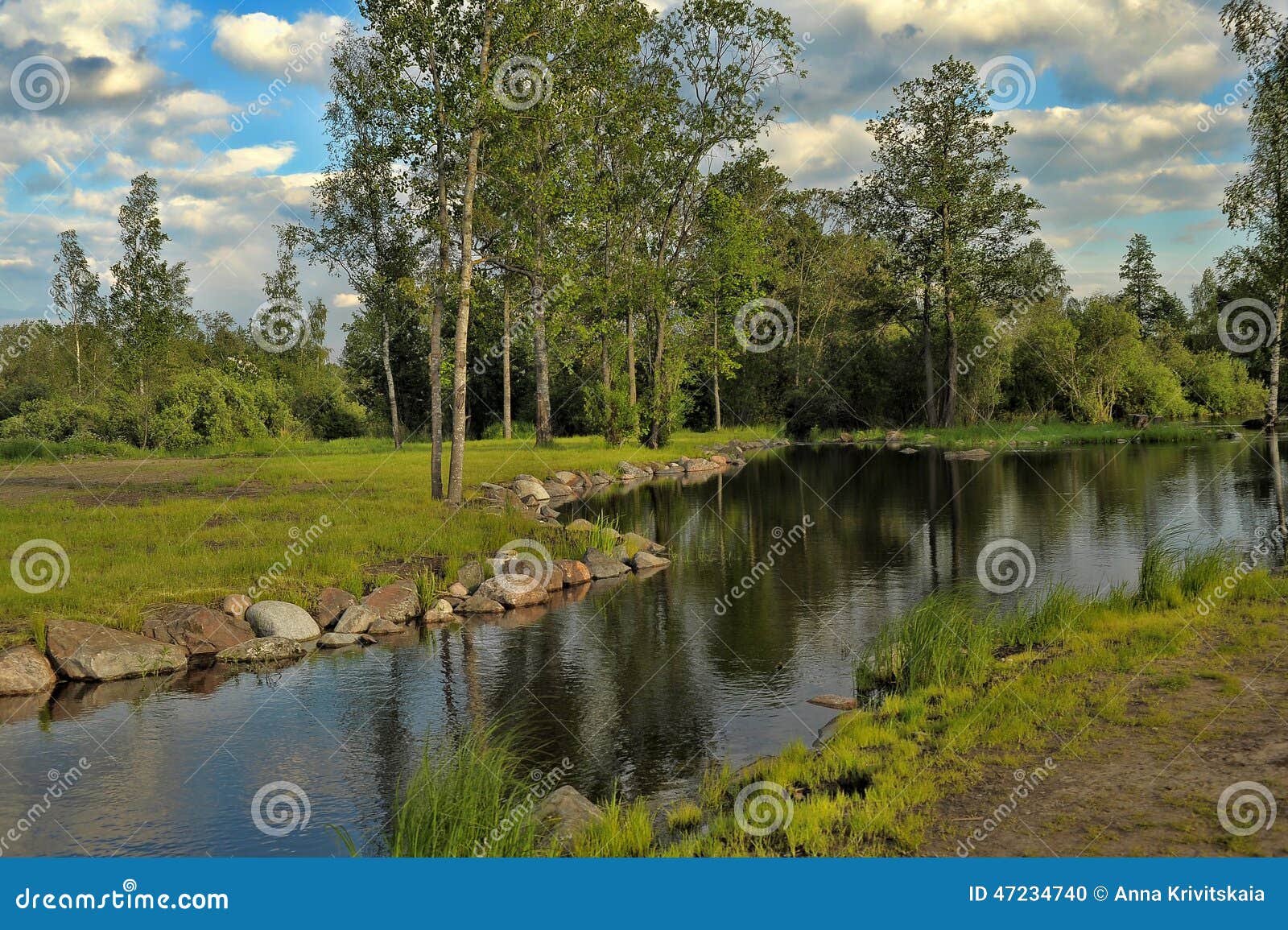 River and trees along it stock photo. Image of creek - 47234740