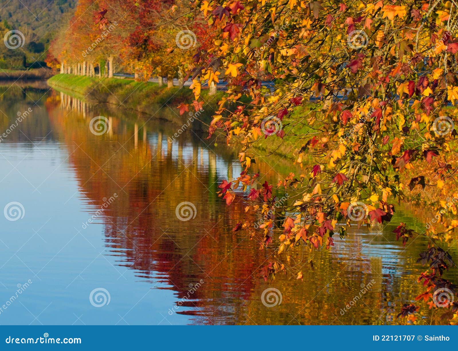 River and trees in autumn stock image. Image of leaves - 22121707