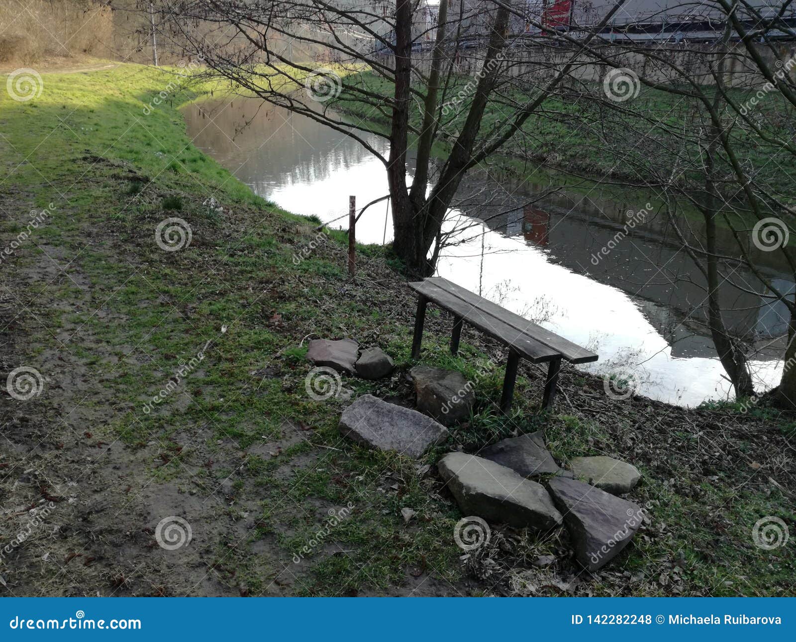 River, trees and bench stock photo. Image of trees, bench - 142282248