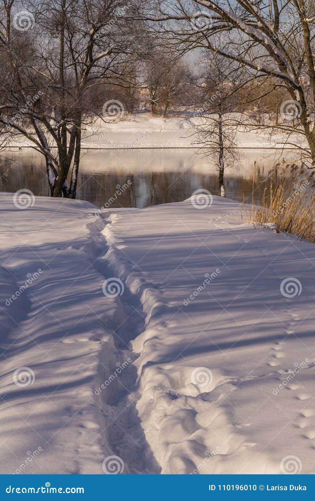 The River and Trees; Covered with Snow; Winter Sunny Day. Stock Photo ...