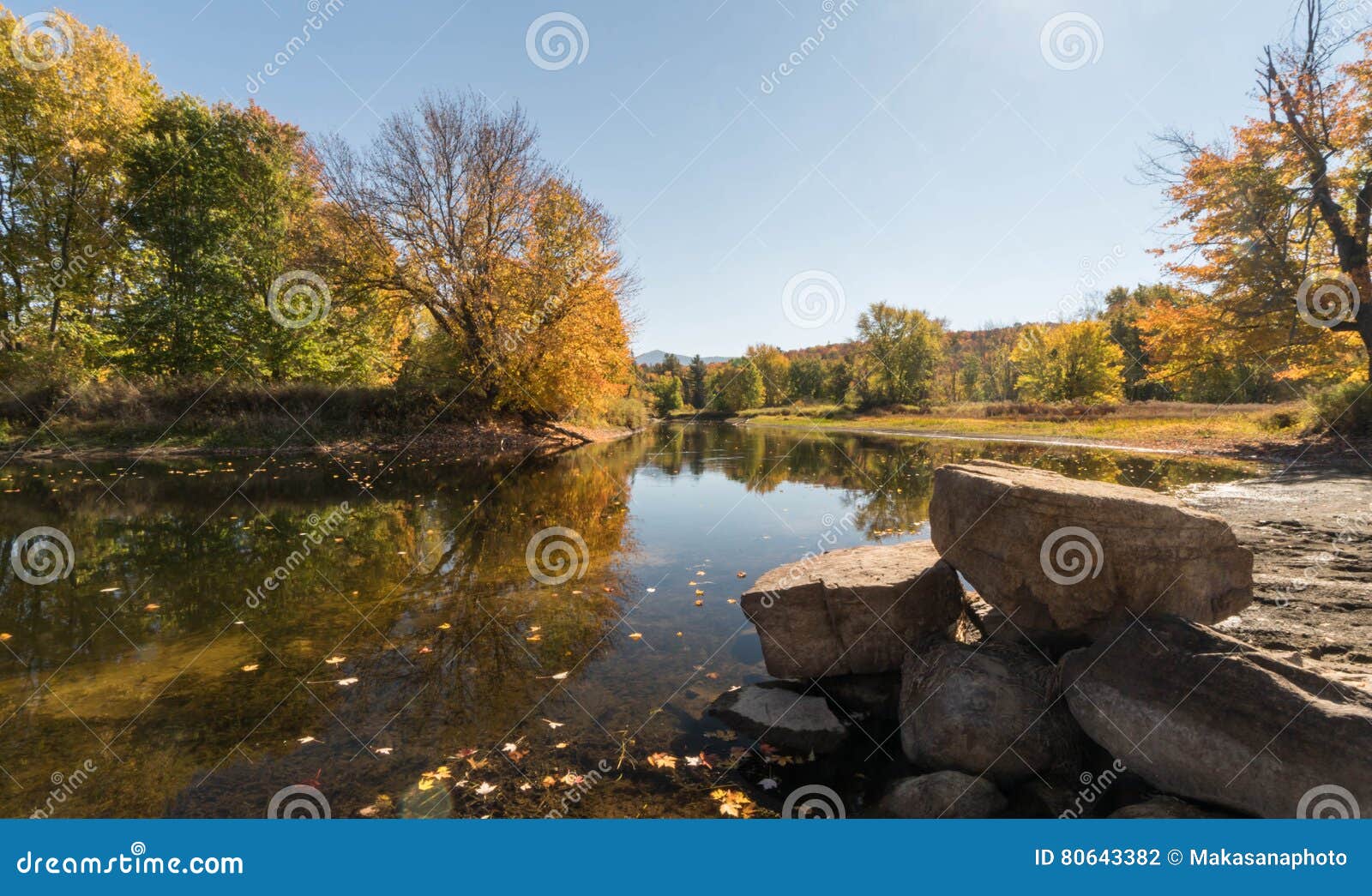 River with Trees and Fields in Fall Colors in the Adirondacks Stock ...