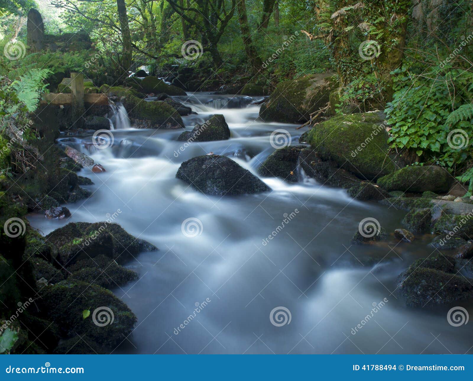 River in the Trees stock photo. Image of smooth, forest - 41788494
