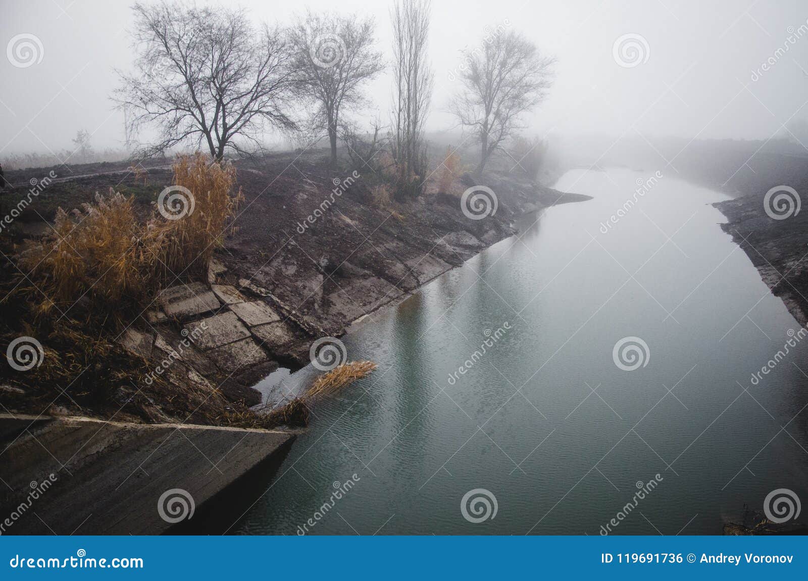 A River and Trees in the Fog Stock Photo - Image of bush, fall: 119691736