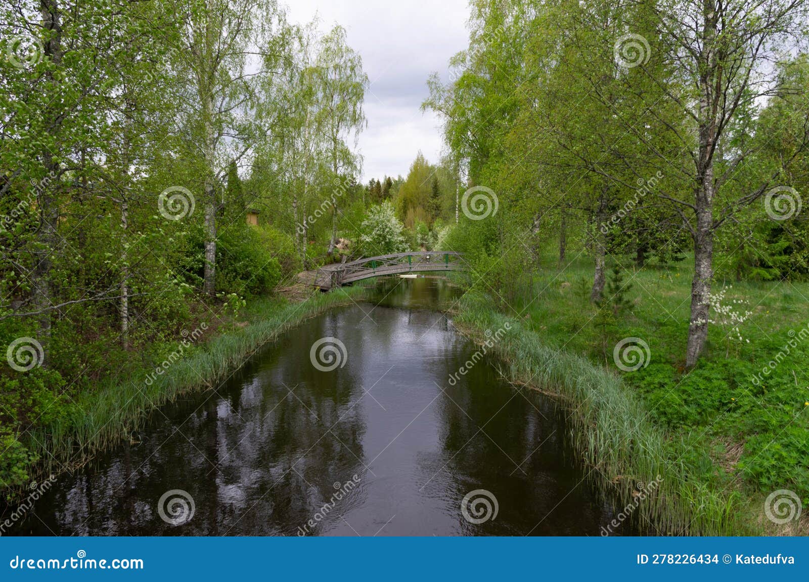 River among Trees and Plants Stock Photo - Image of wetland, pond ...