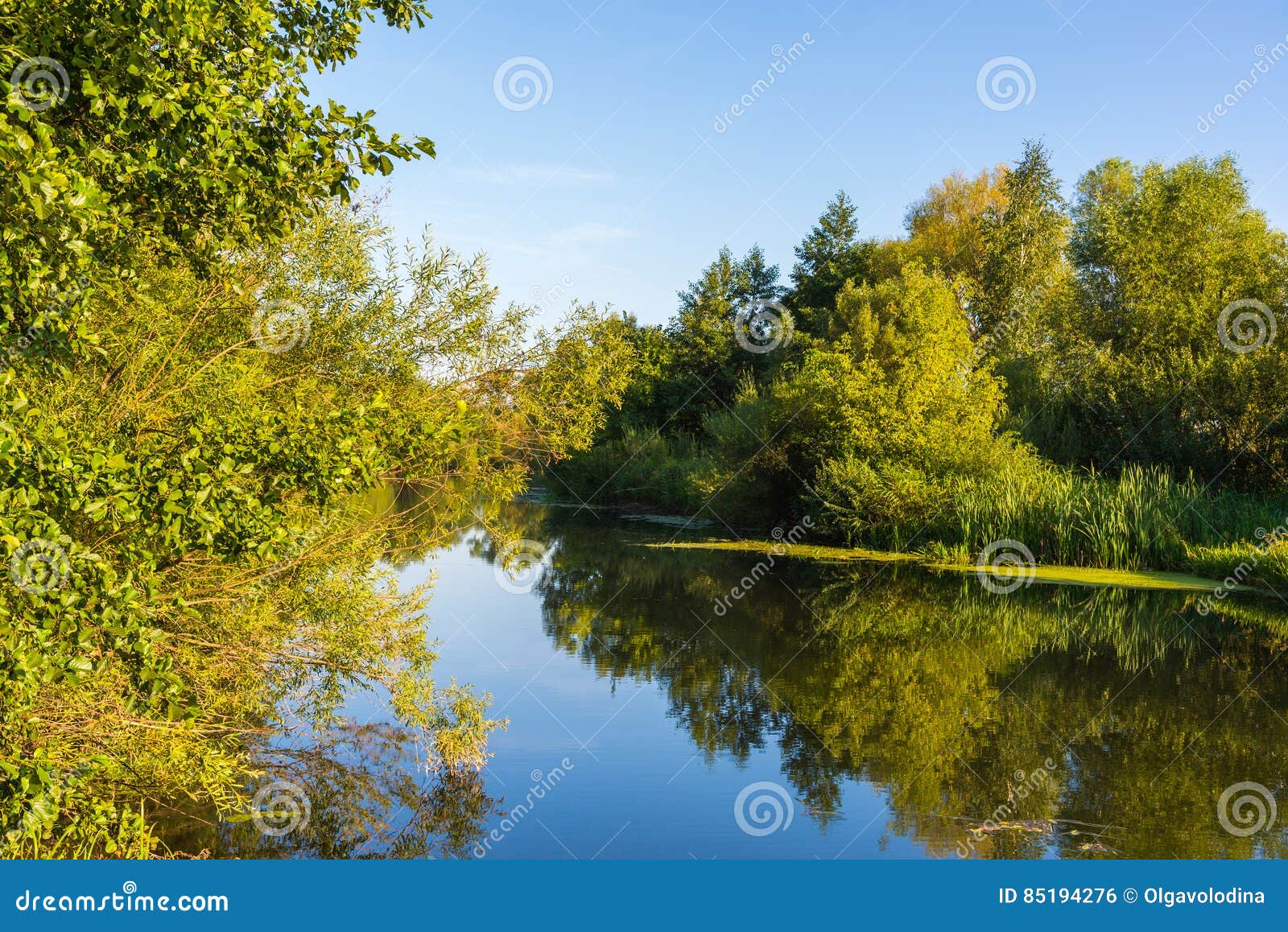 River with Trees on the Shore Stock Photo - Image of shore, trees: 85194276