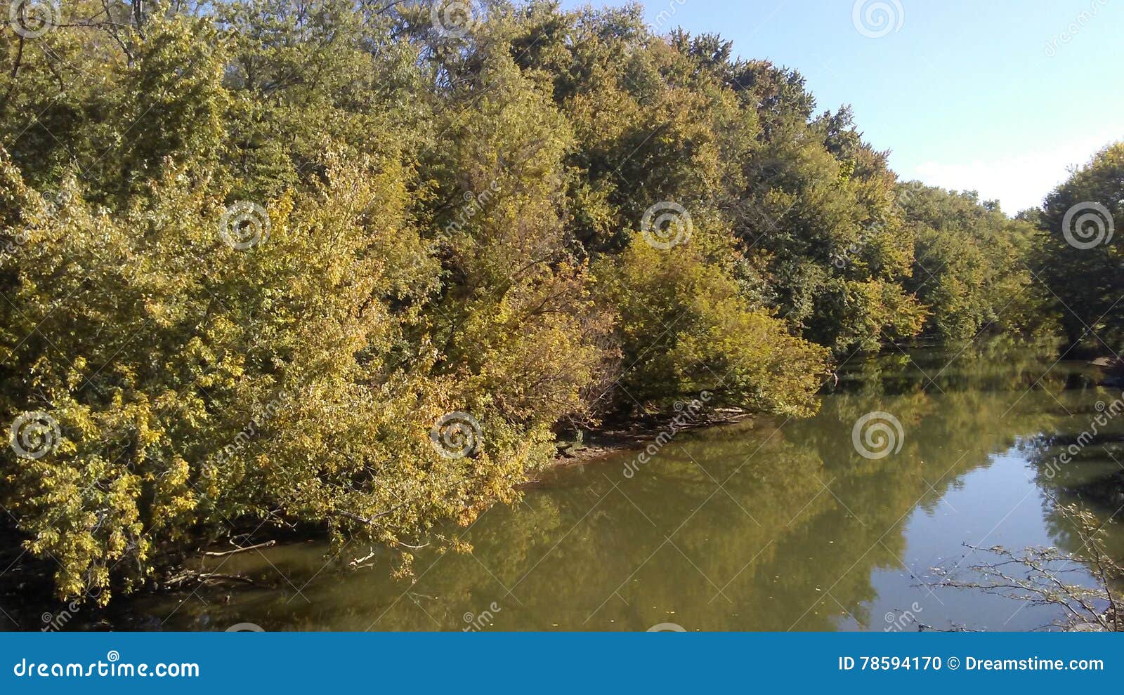 River trees stock photo. Image of fall, river, shoreline - 78594170