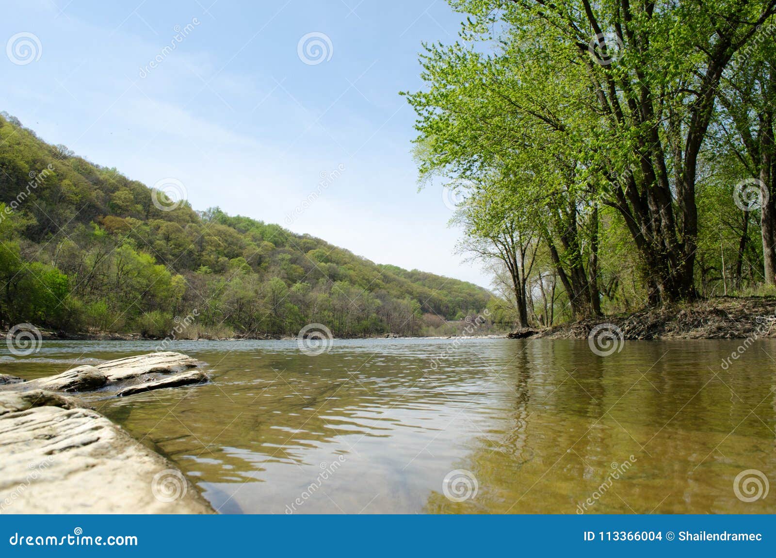 River trees and sky stock photo. Image of river, flowing - 113366004