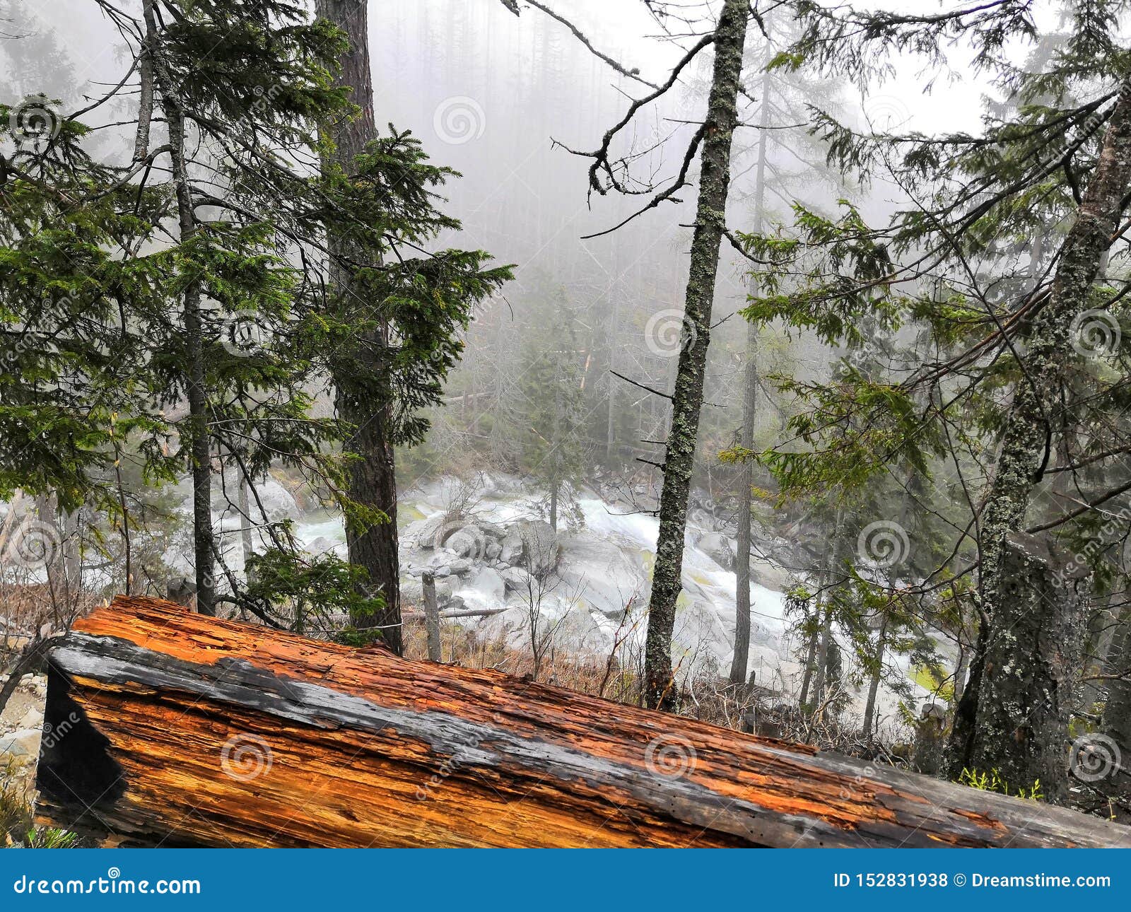 River stock photo. Image of dust, trees, river, waterfall - 152831938