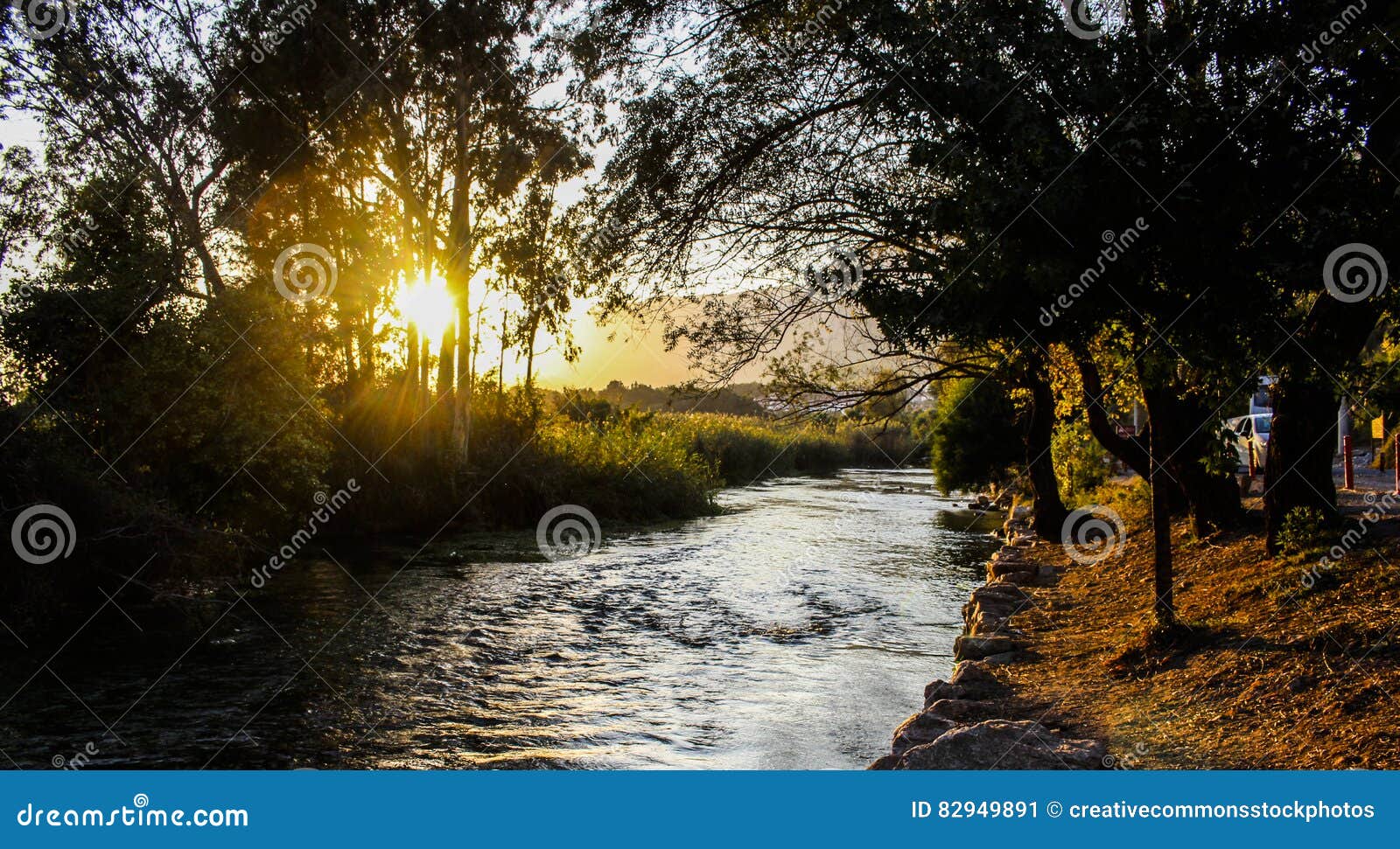 River With Tress During Sunny Clear Sky Picture. Image: 82949891