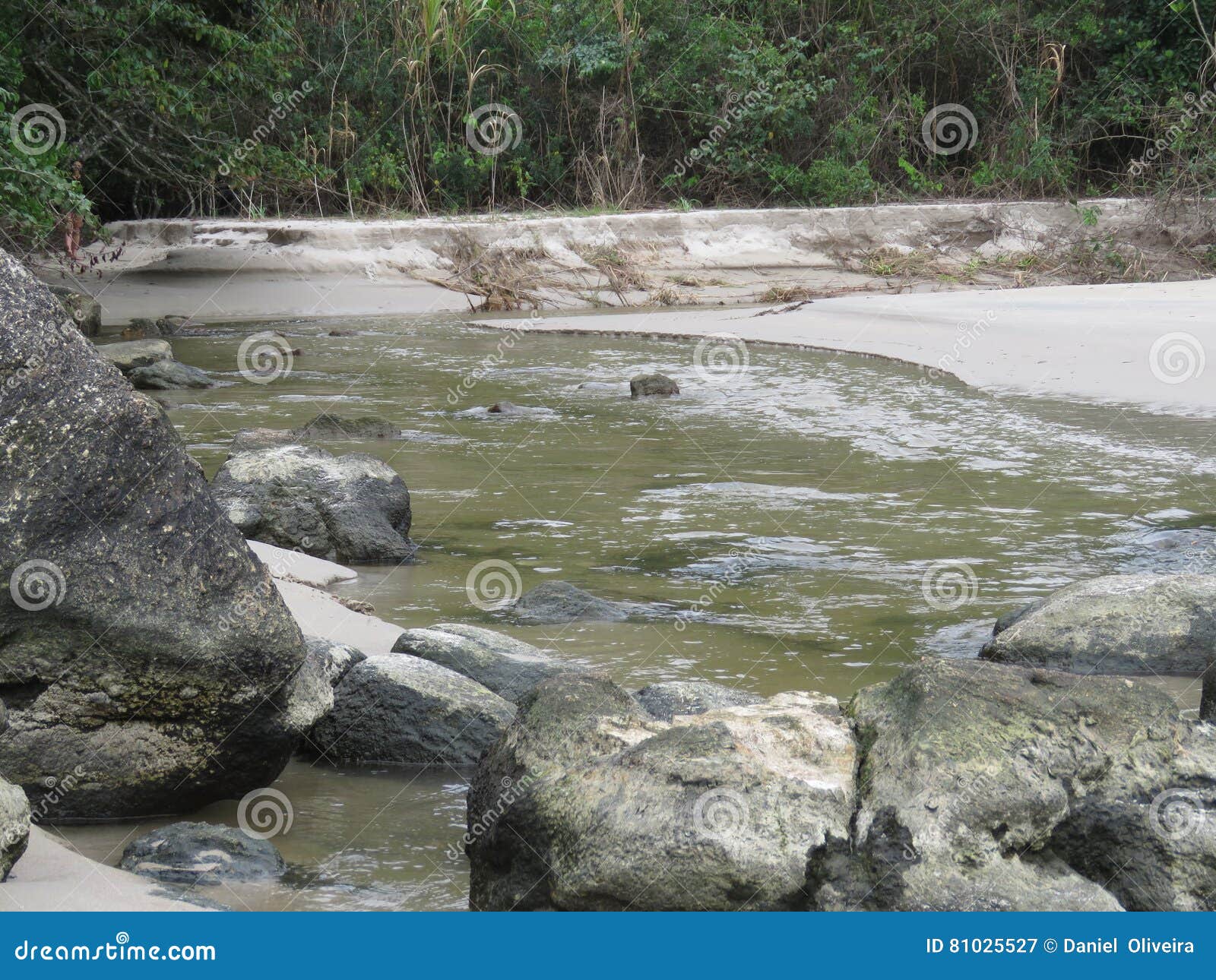 A River in Trindade - Paraty RJ Stock Image - Image of landscape ...