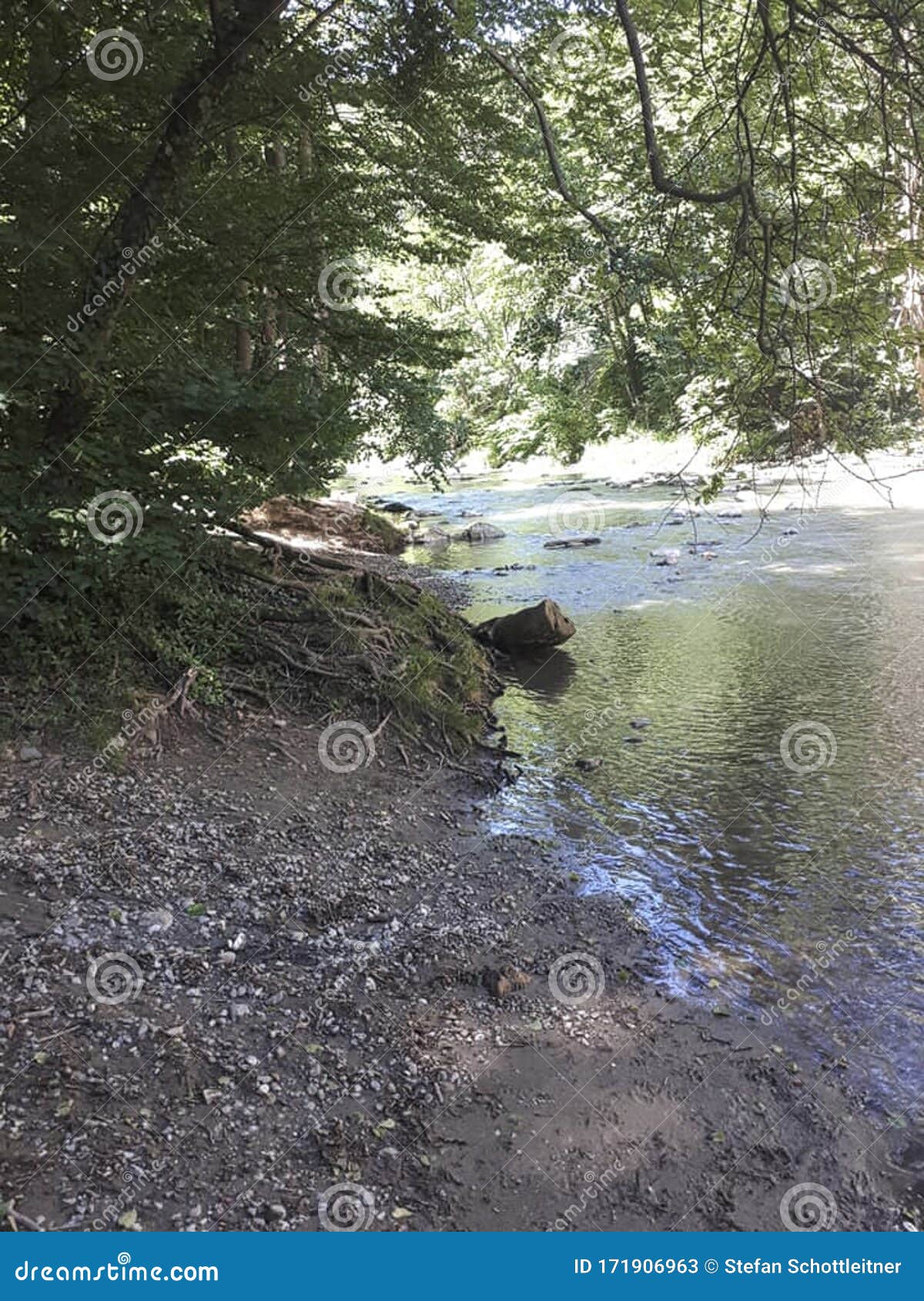 A River with a Trunk beside Stock Image - Image of branch, reflection ...