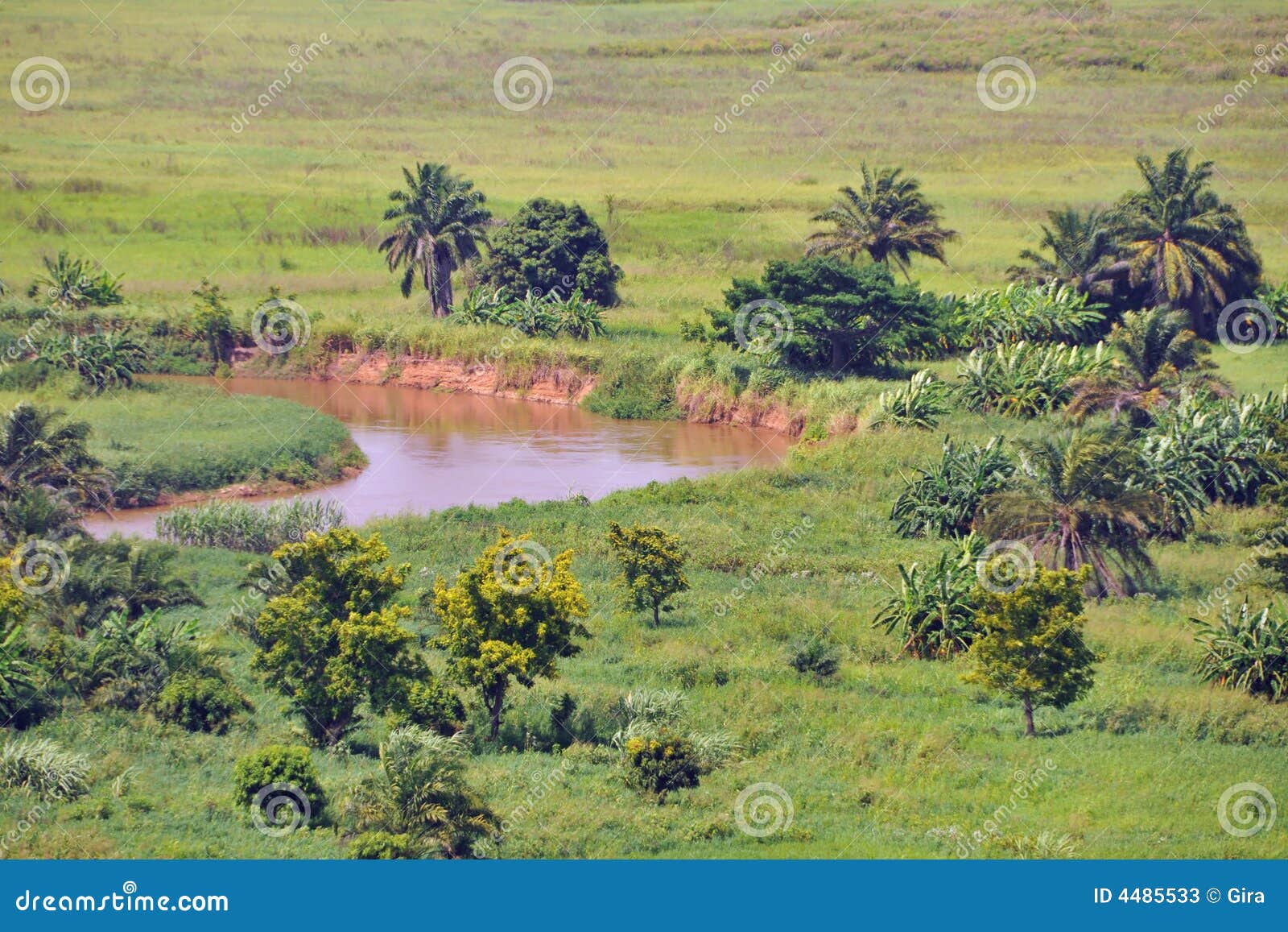 River turn stock image. Image of river, nature, savanna - 4485533