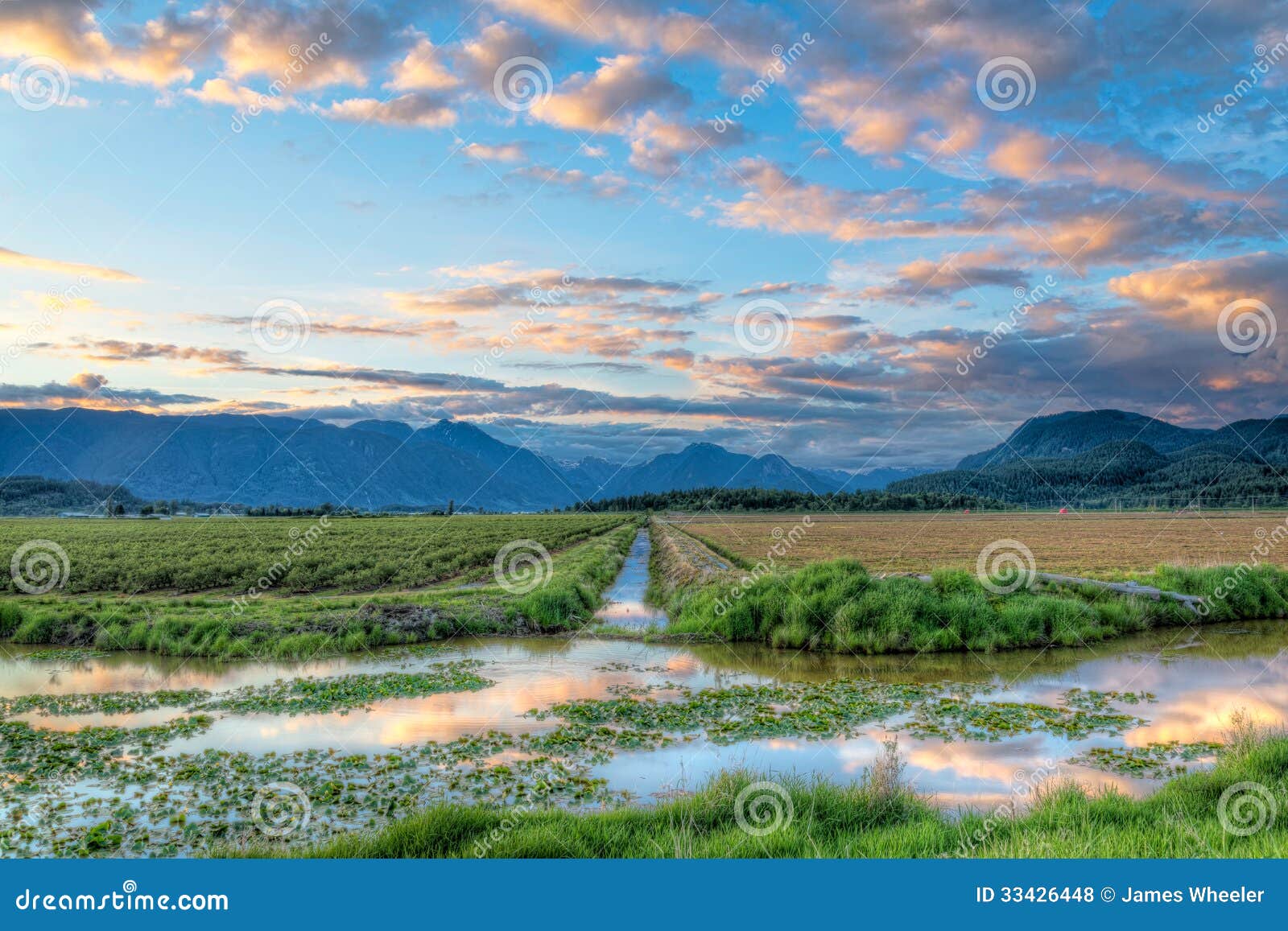 River between Two Fields stock photo. Image of crop, land - 33426448