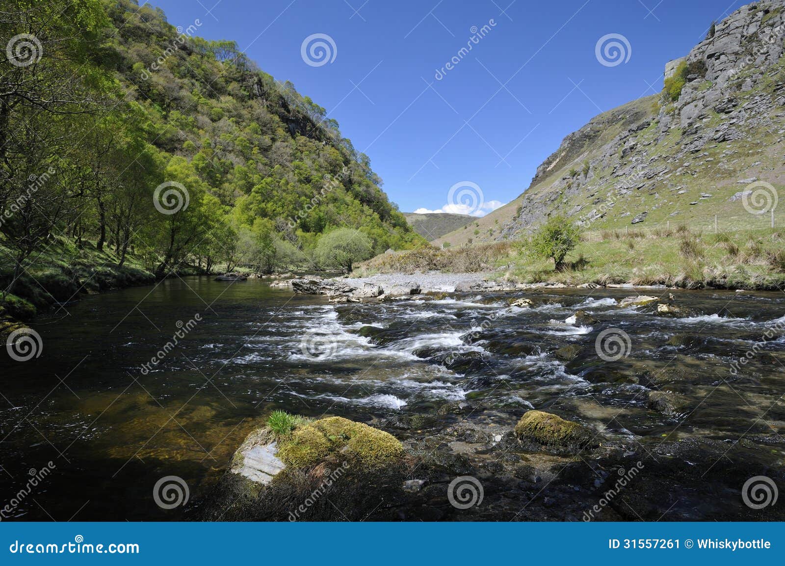 River Tywi RSPB Dinas stock image. Image of stone, valley - 31557261