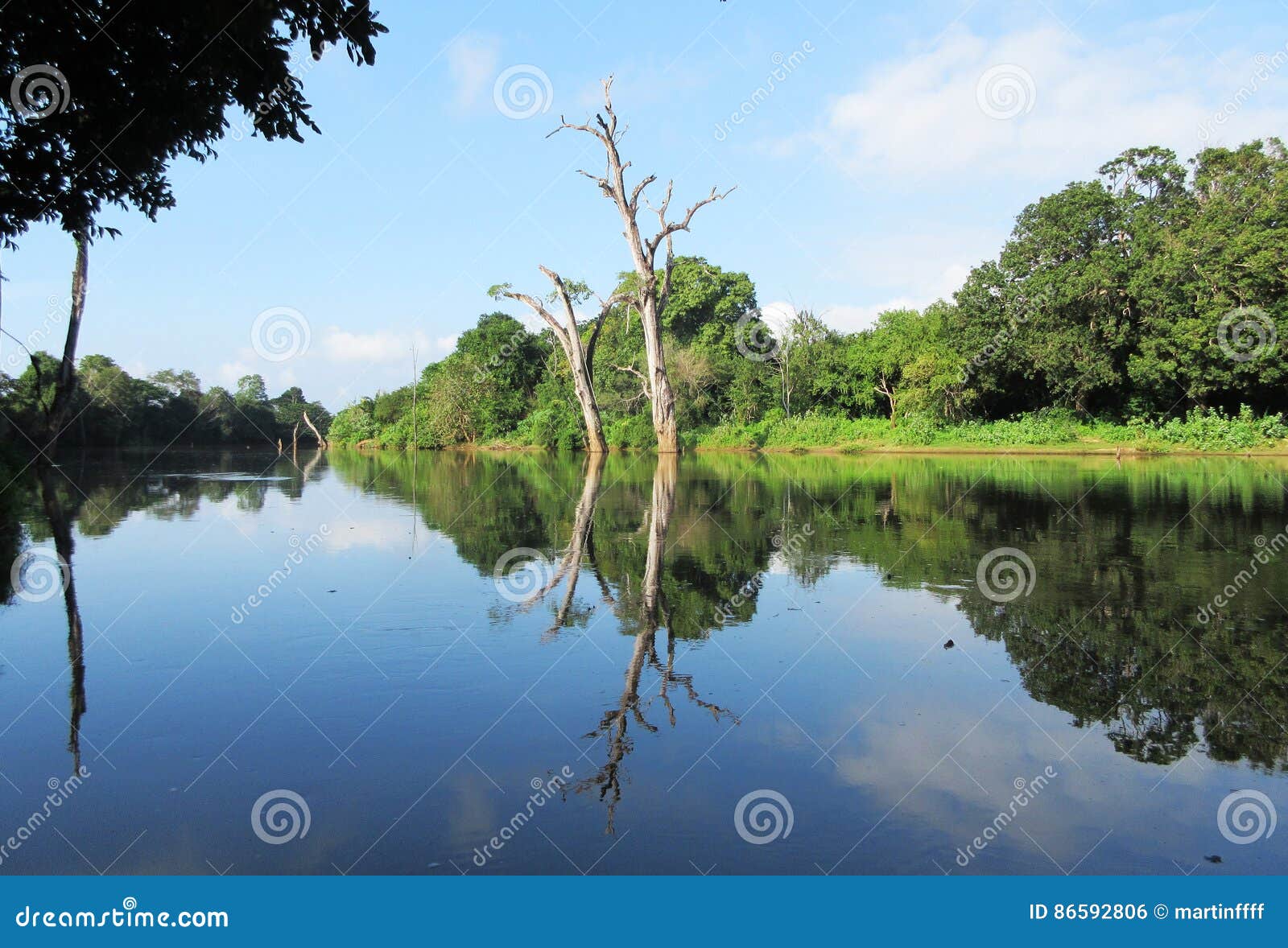 River in Uda Walawe National Park Stock Photo - Image of light, ceylon ...