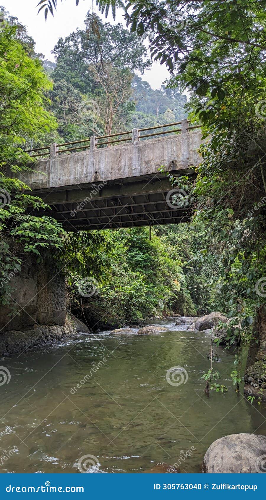 River under the bridge stock photo. Image of bridge - 305763040