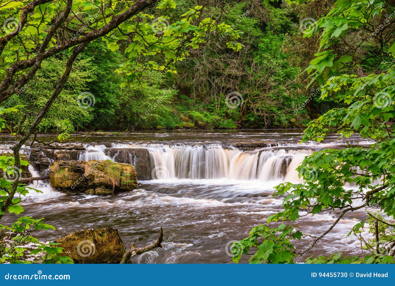 River Ure at Upper Aysgarth Falls Stock Photo - Image of dales, flowing ...