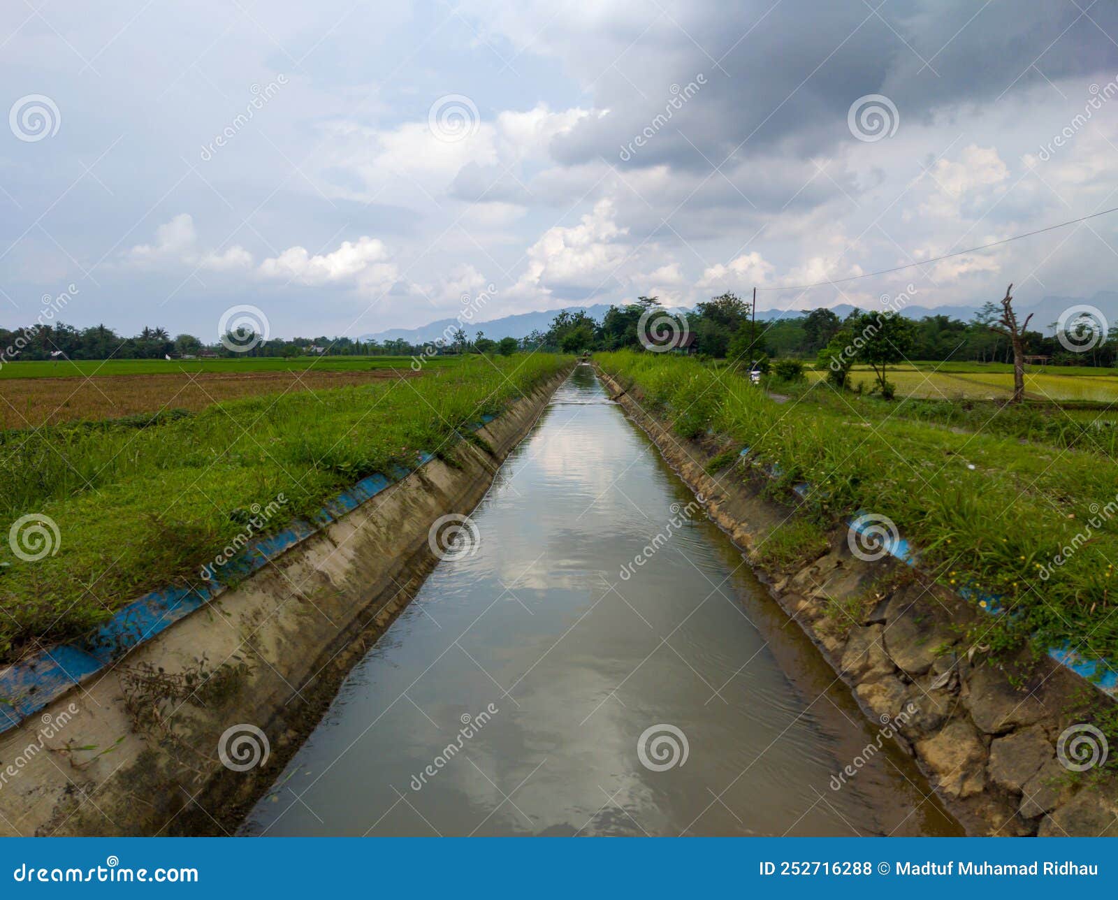 The Source Of Rice Field Life. Paddy Irigation Royalty-Free Stock ...