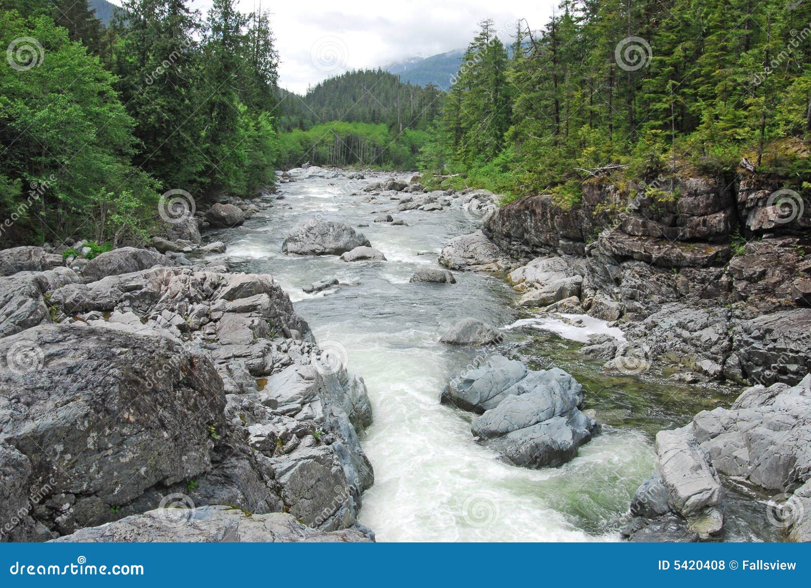 River valley stock photo. Image of running, scene, outdoors - 5420408